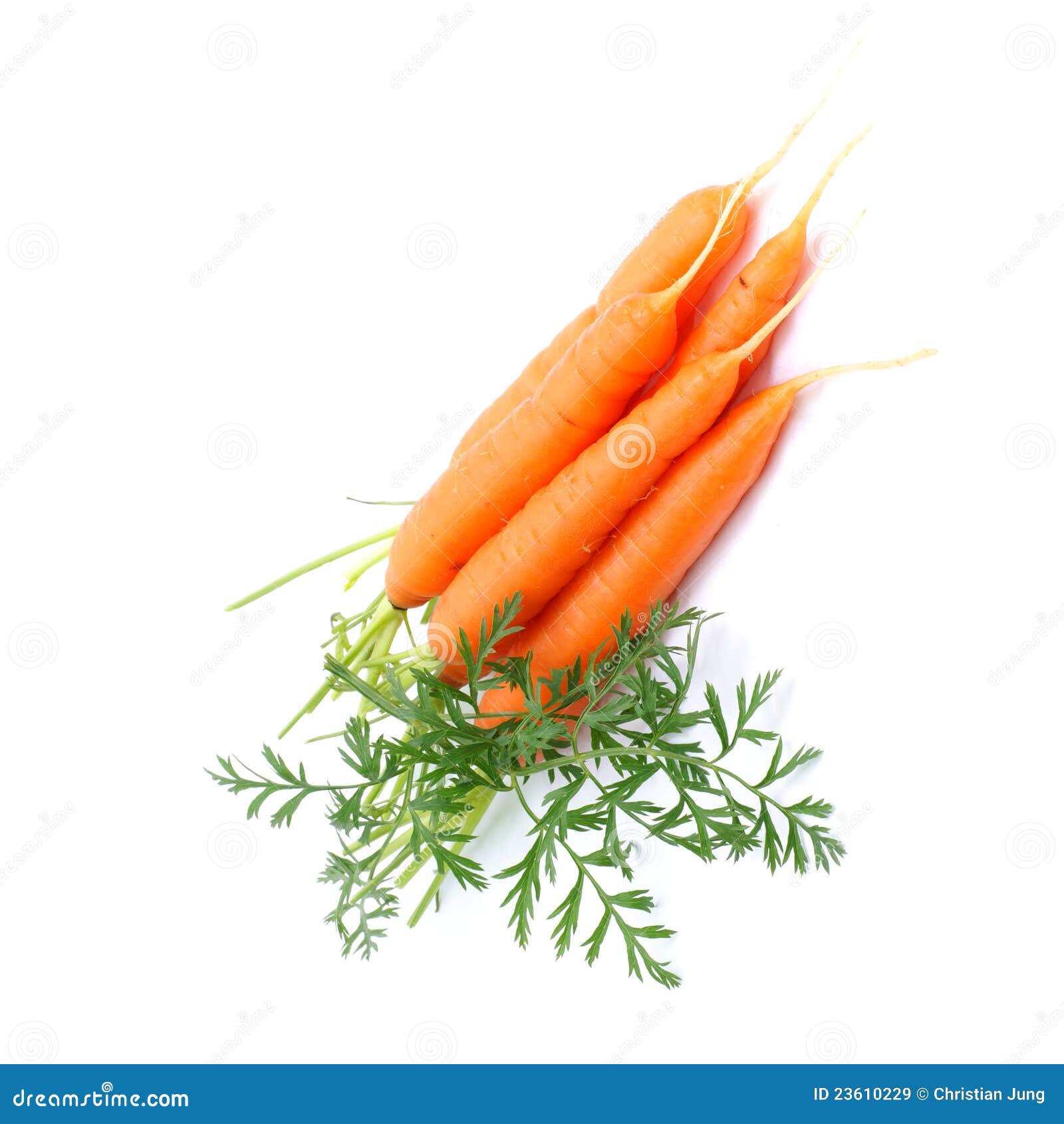 Fresh carrots stock image. Image of fruit, fixings, carrots - 23610229