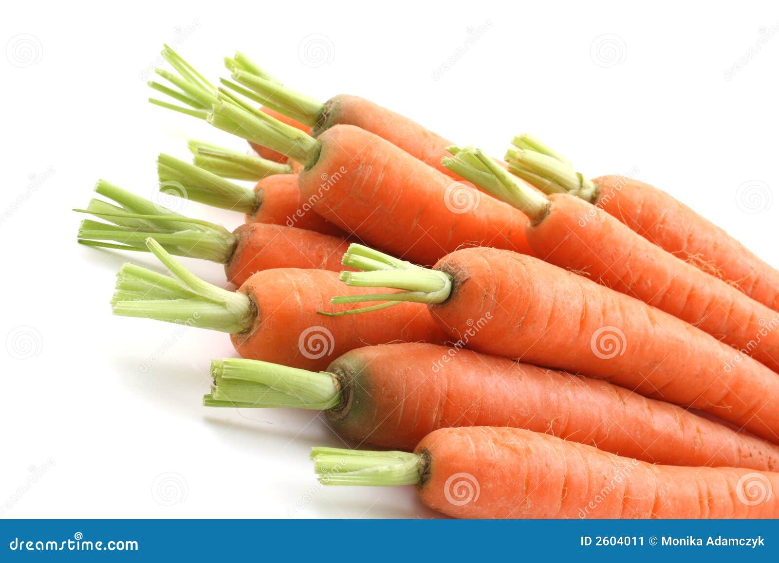 Fresh carrots stock image. Image of healthy, white, vegetable - 2604011
