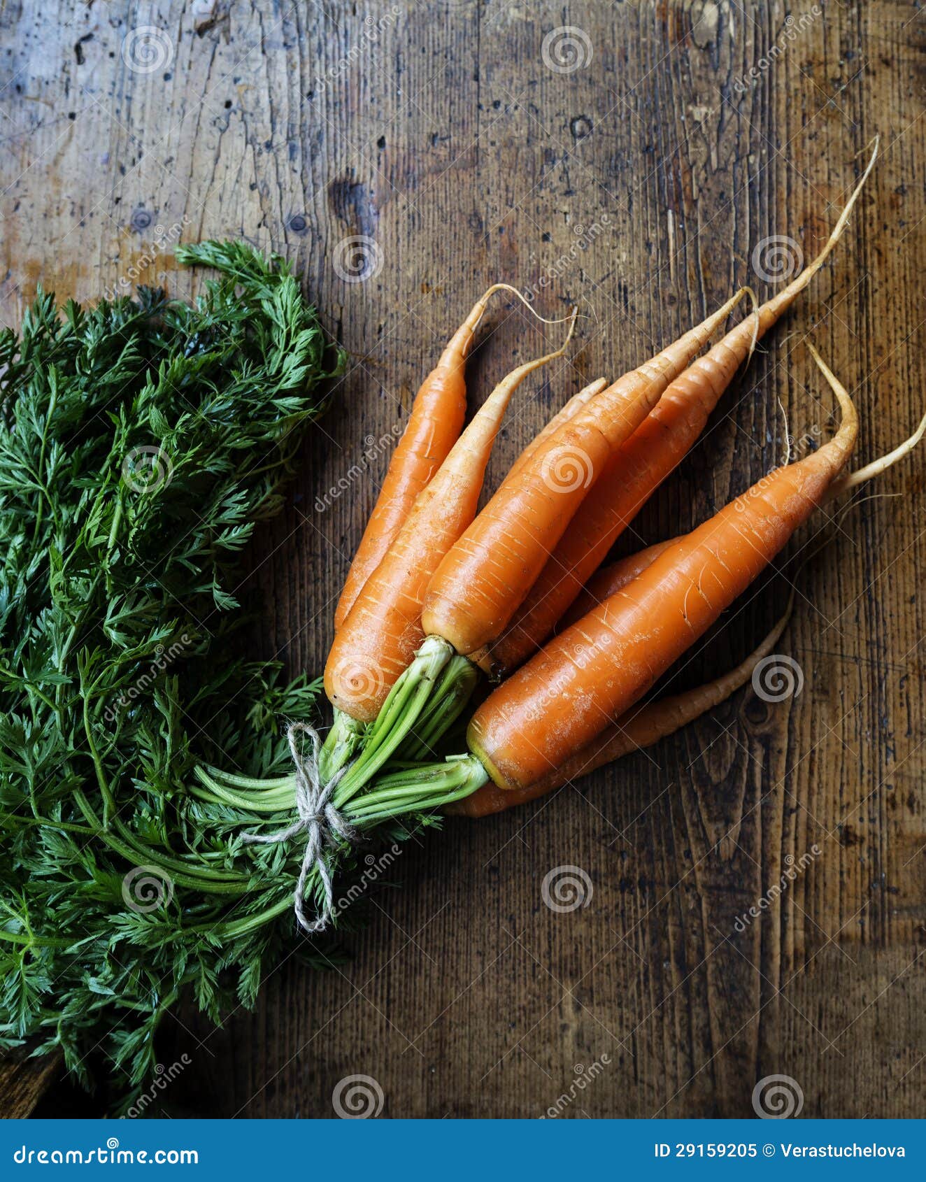 Fresh carrots stock image. Image of cutting, healthy - 29159205