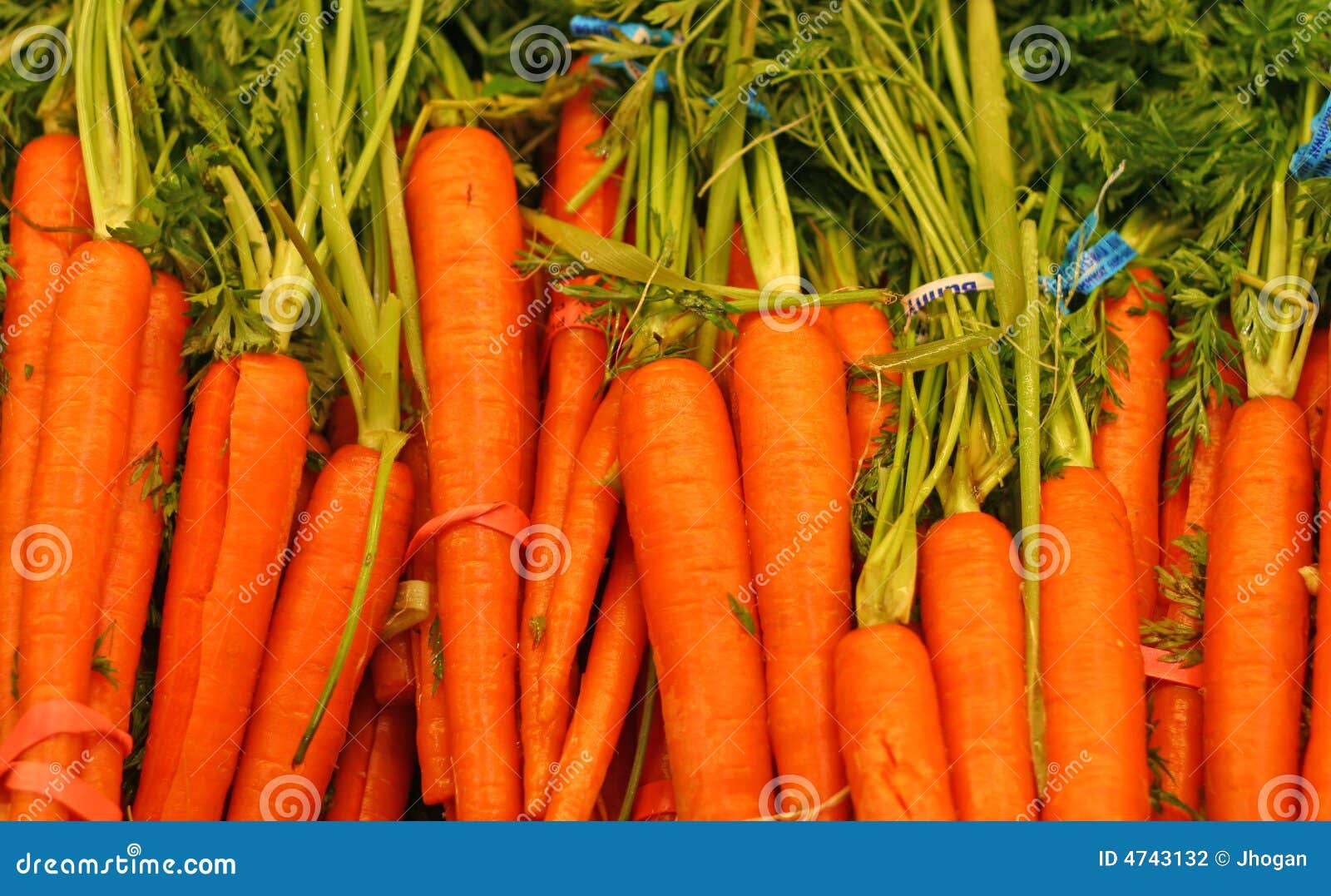 Fresh carrots stock photo. Image of energy, market, markets - 4743132