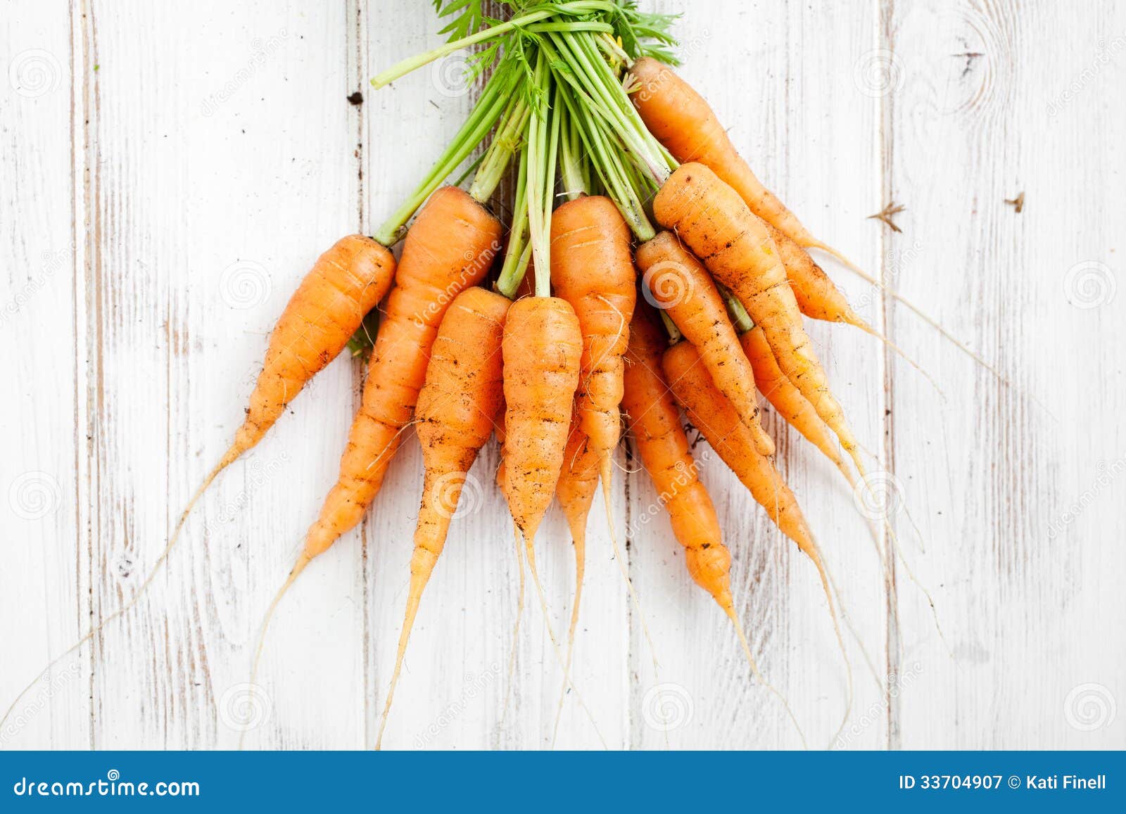 Fresh carrots stock image. Image of fresh, nutrition - 33704907