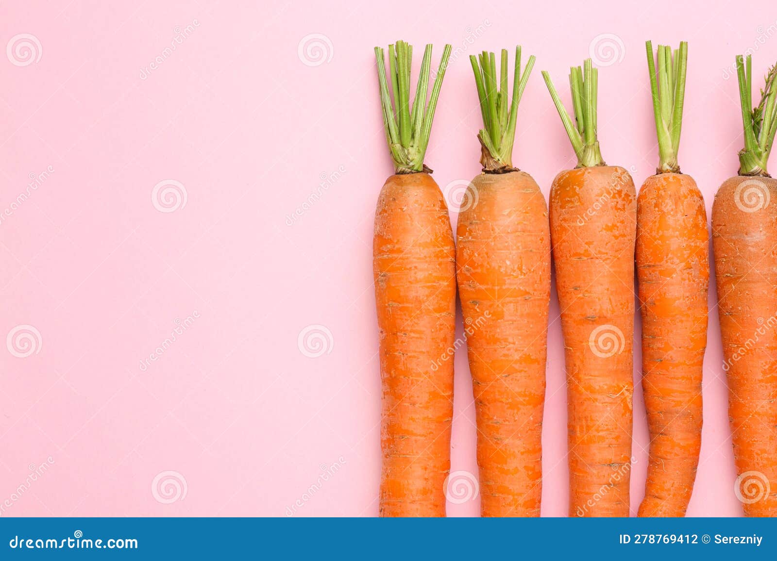 Fresh Carrots on Color Background Stock Photo - Image of product, food ...