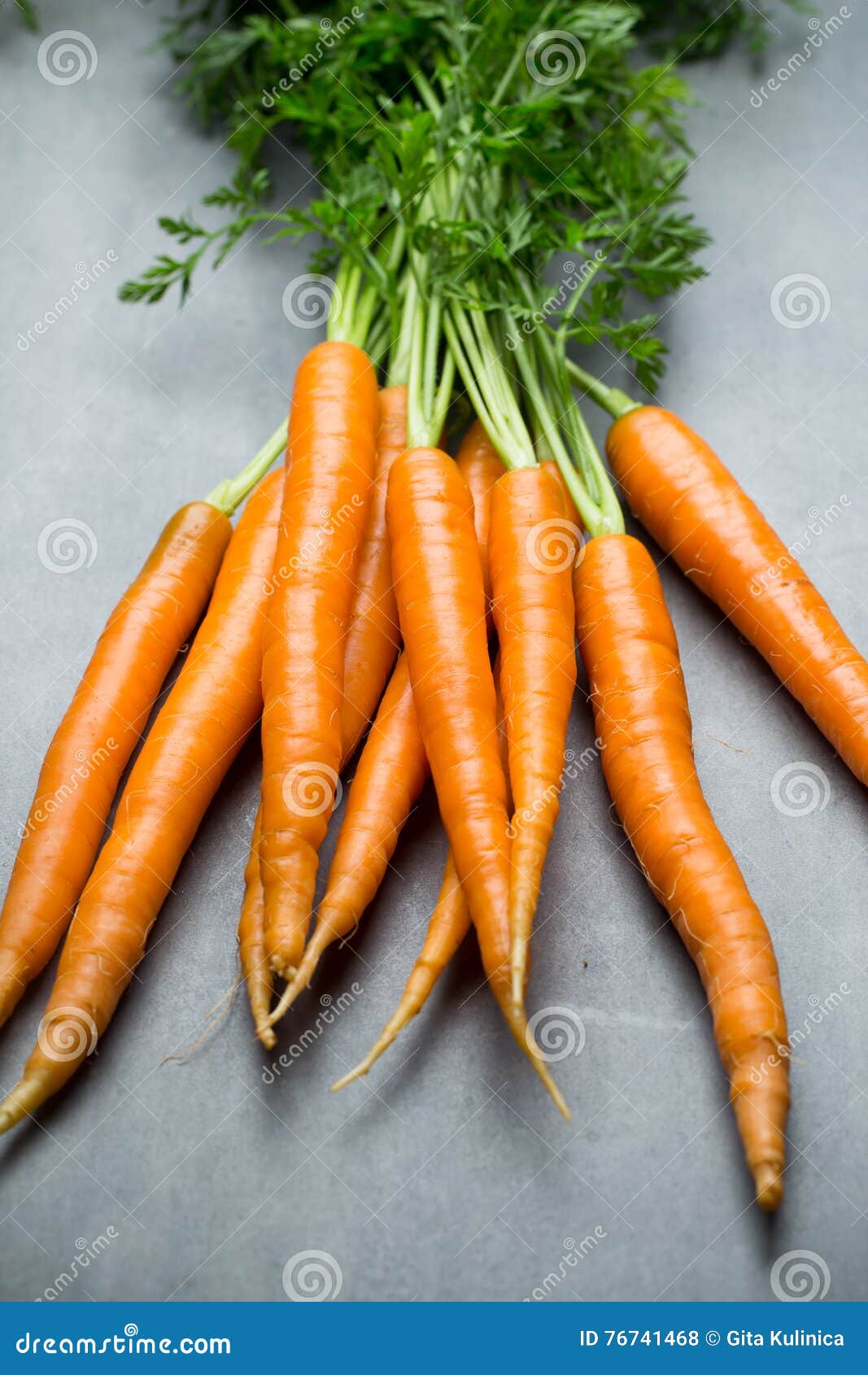 Fresh Carrots on the Gray Backgrounds Stock Photo - Image of diet, gray ...