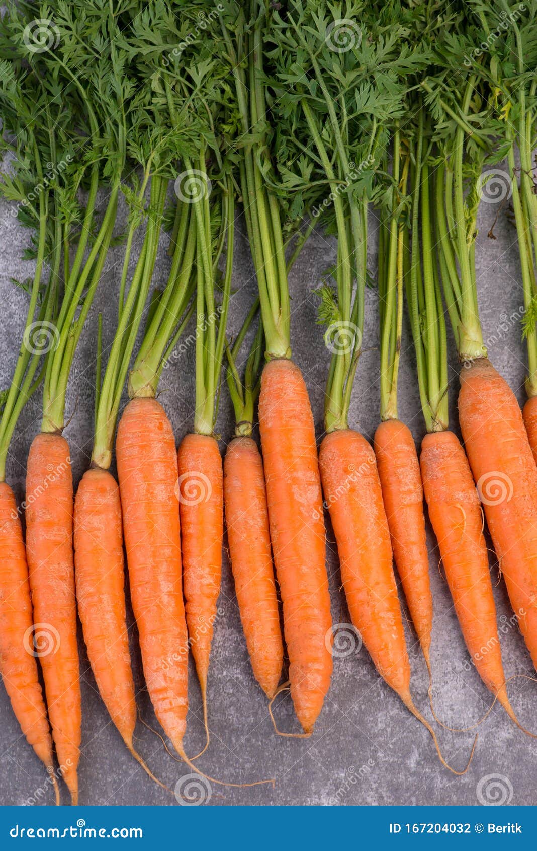 A Fresh Carrots on a Grey Structured Background, Close Up Stock Photo ...