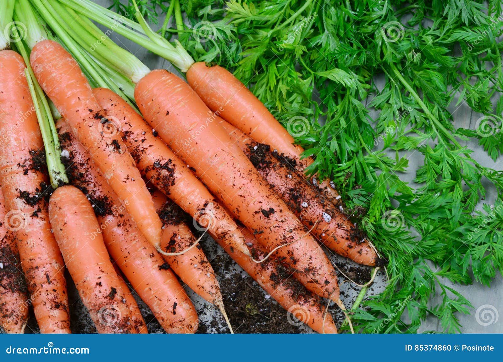 Fresh carrots stock photo. Image of ingredient, background - 85374860