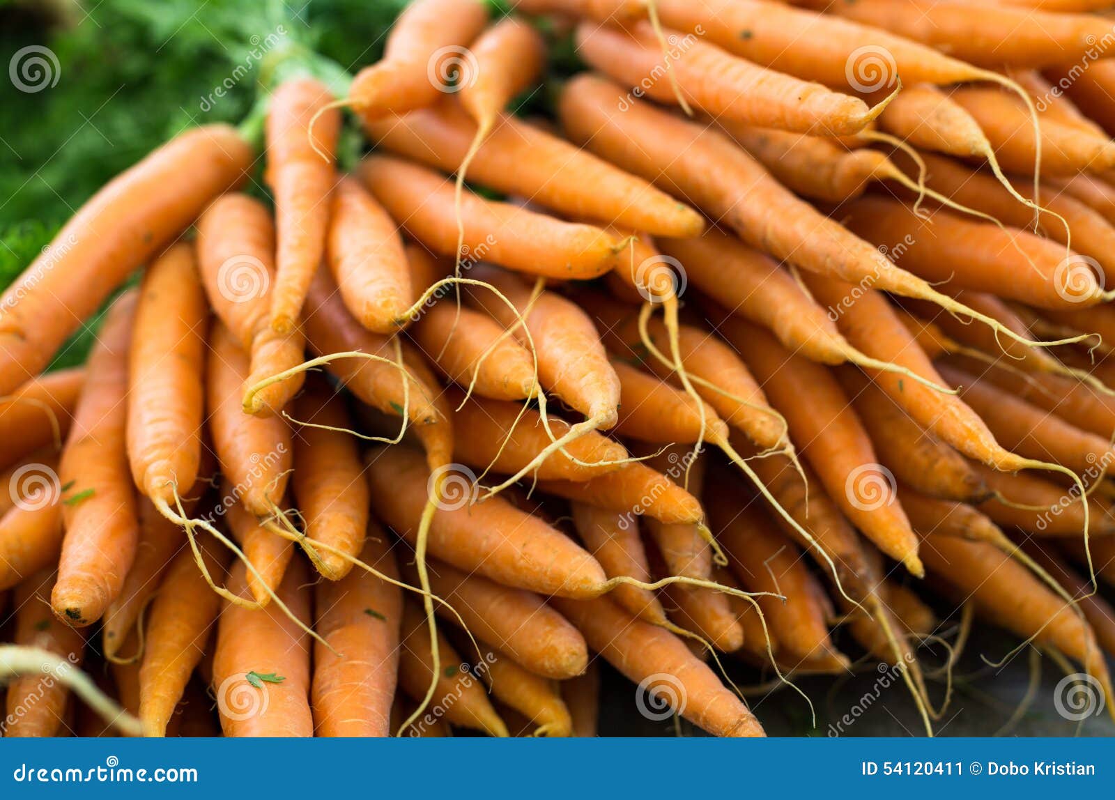 Fresh carrots stock image. Image of organic, bazaar, outdoor - 54120411