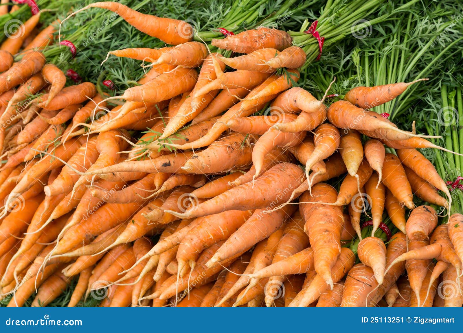 Fresh Carrots Picked and on Display Stock Image - Image of cook ...