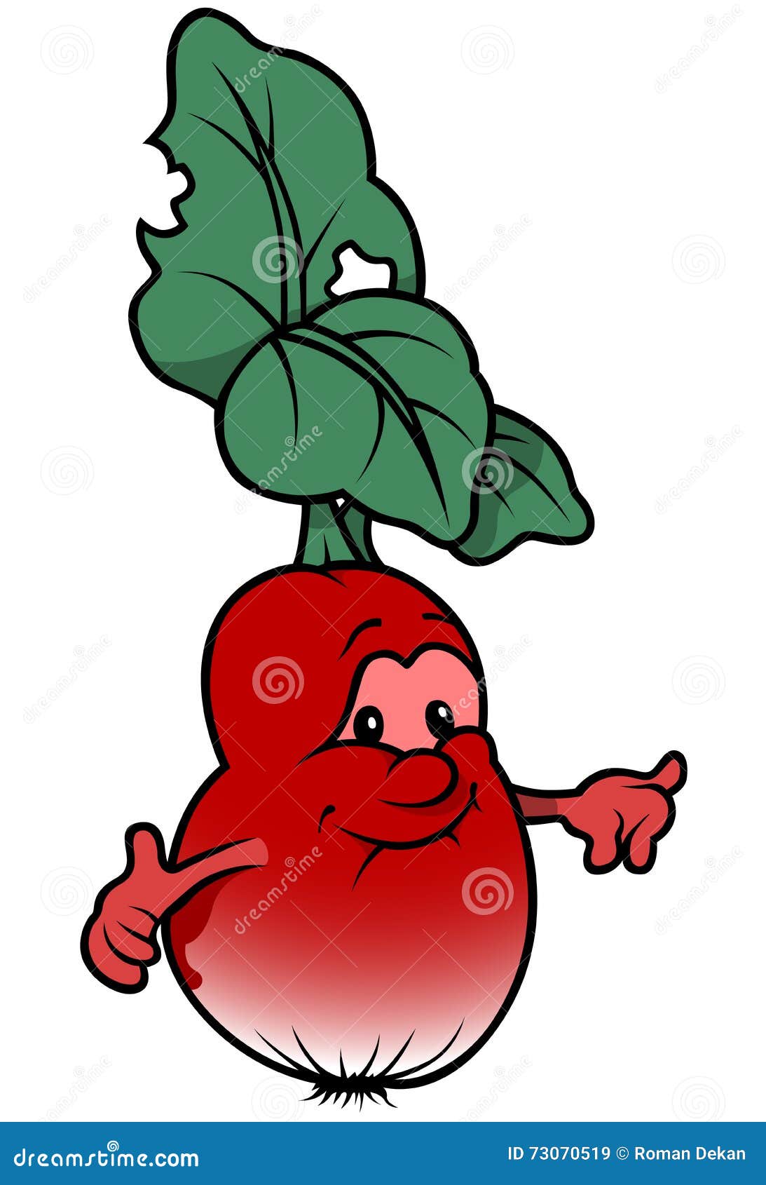 Fresh Cartoon Radish stock vector. Illustration of nourishment - 73070519