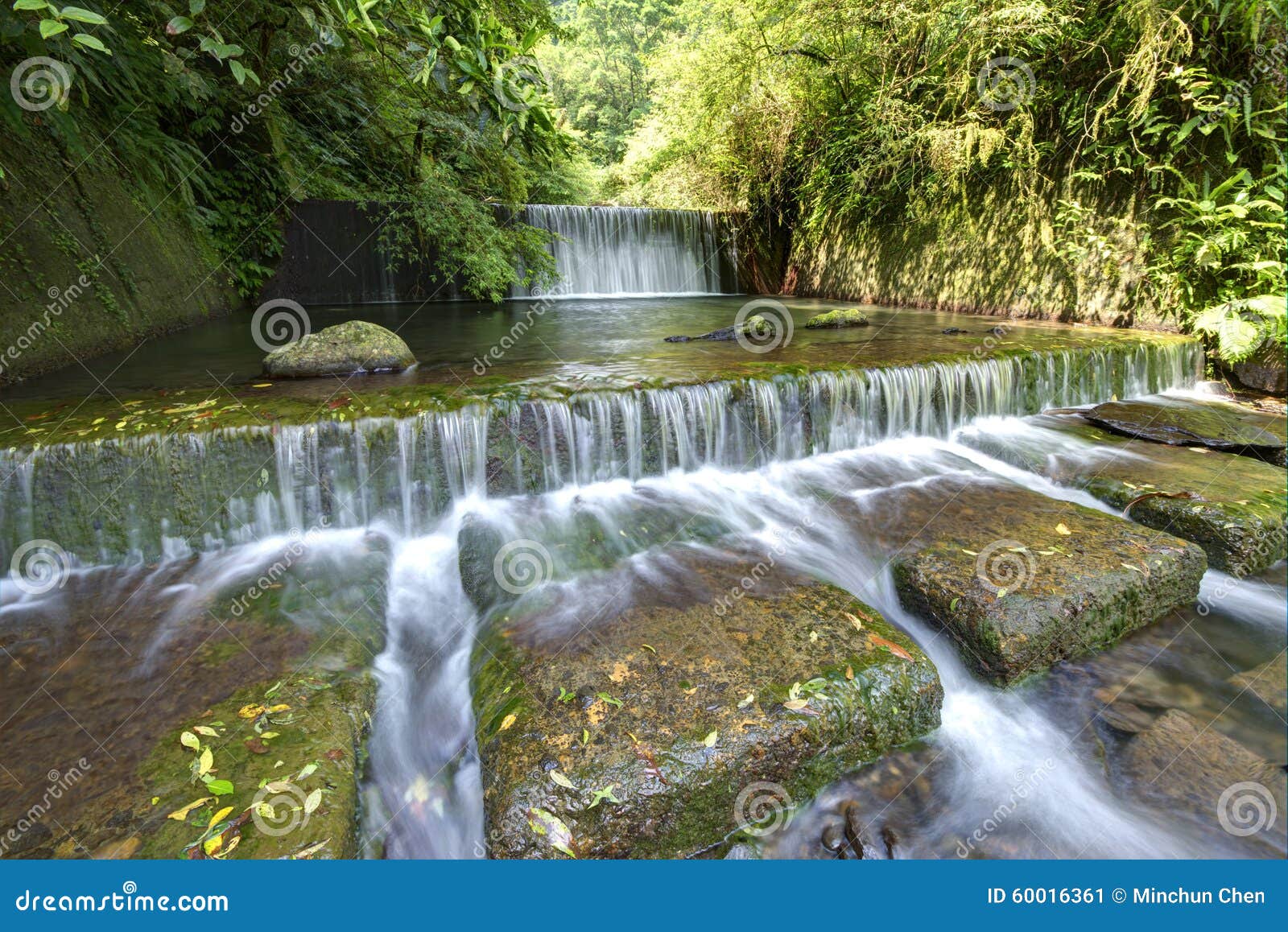 Fresh Cascade in a Mysterious Forest with Sunlight through the Lavish ...