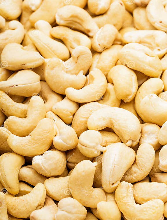 Fresh Cashew stock photo. Image of food, fresh, heap - 34336374