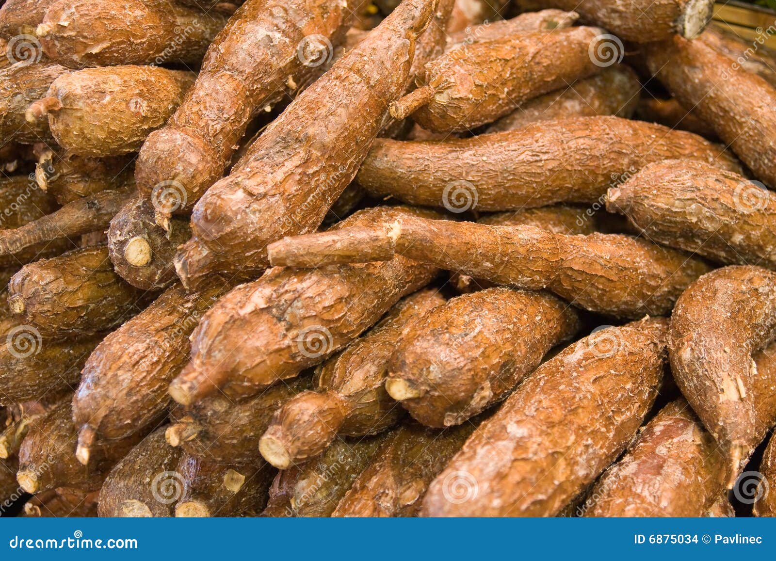 Fresh cassava stock photo. Image of root, marketplace - 6875034