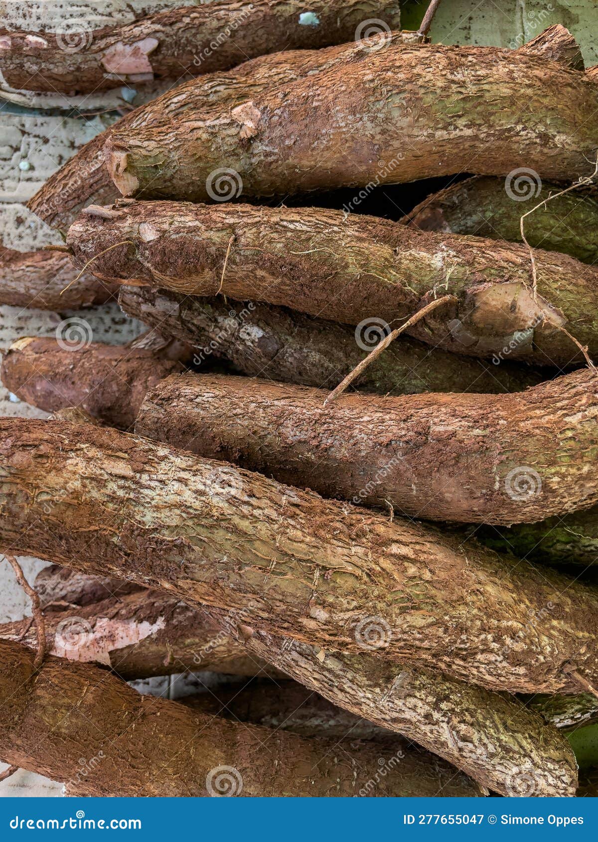 Fresh Cassava root stock image. Image of vegan, vegetables - 277655047