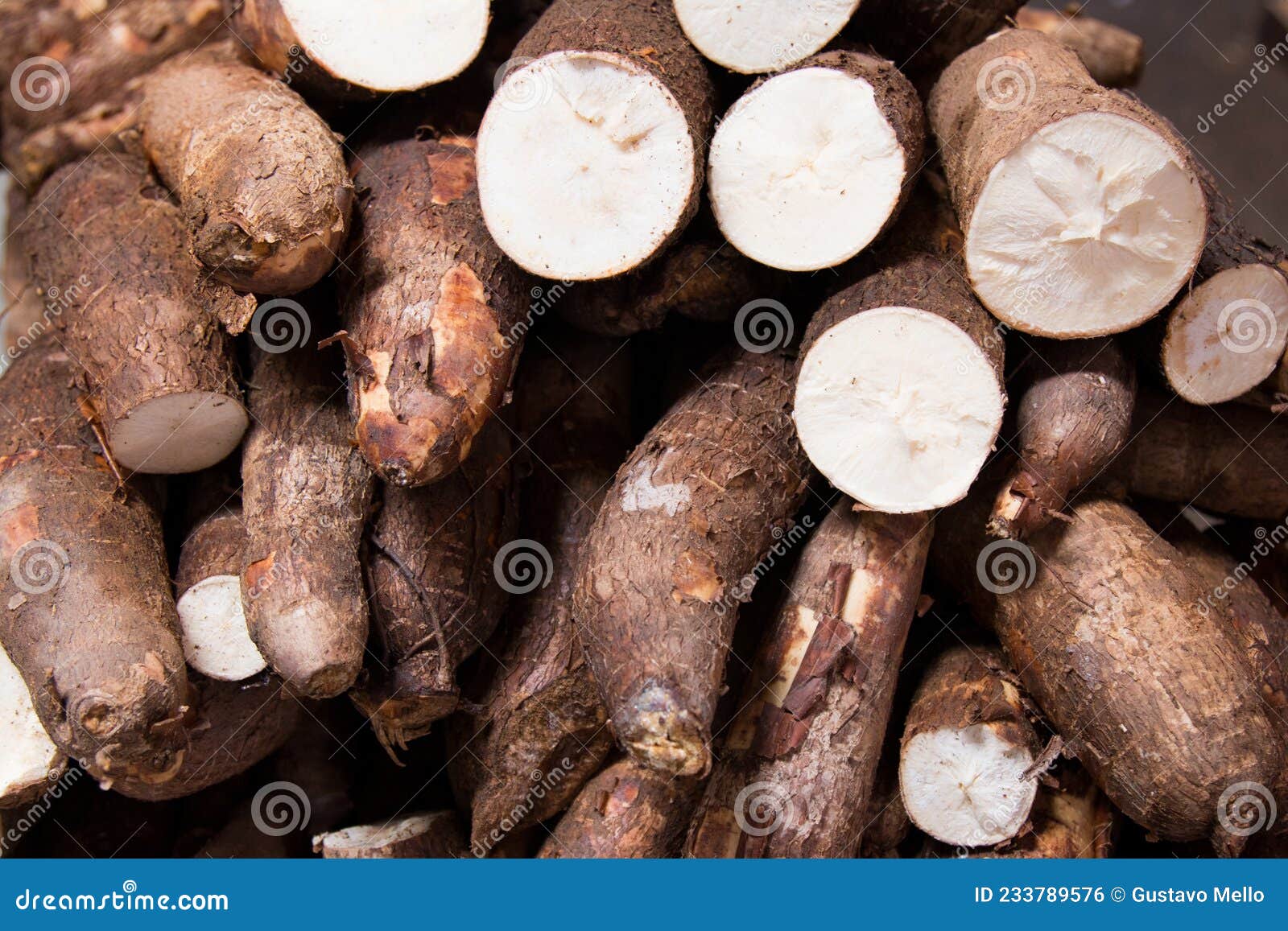 Fresh Cassava Root the Food Market Stock Photo - Image of peel, brown ...