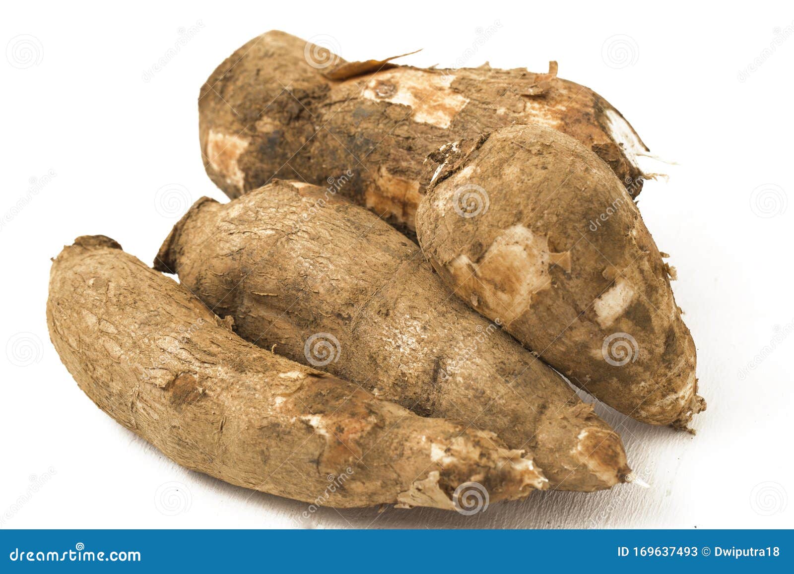 Fresh Cassava Root Isolated on a White Stock Image - Image of leaf ...