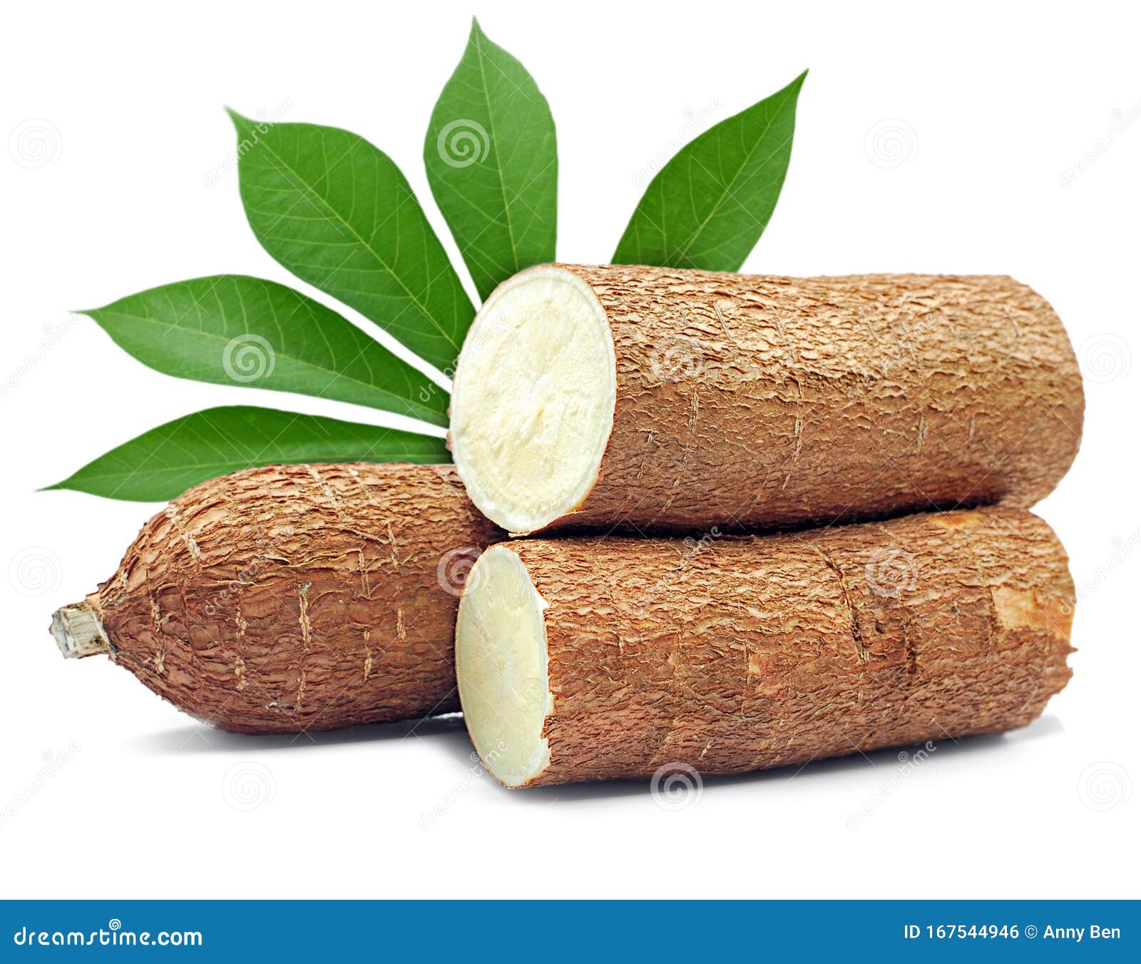 Pictures Of Cassava