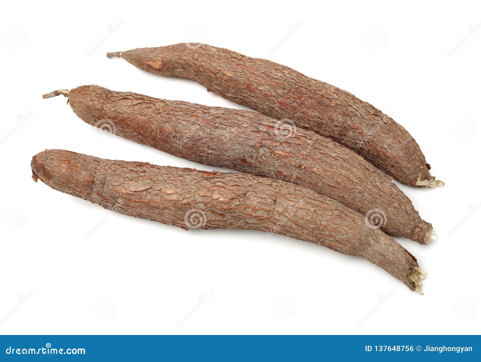Fresh cassava slices stock photo. Image of fresh, green - 137648756