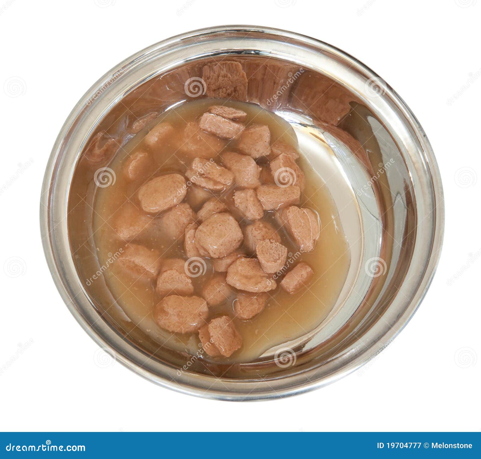 Fresh cat food stock image. Image of serving, food, meal - 19704777