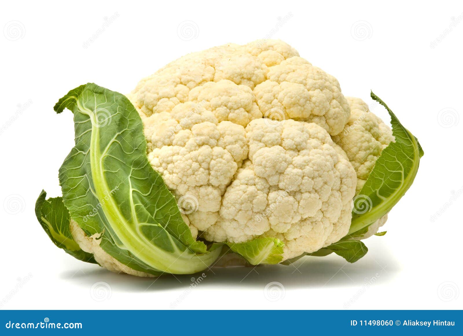 Cauliflower Head Curd Coliflor On Black Reflective Studio Background ...