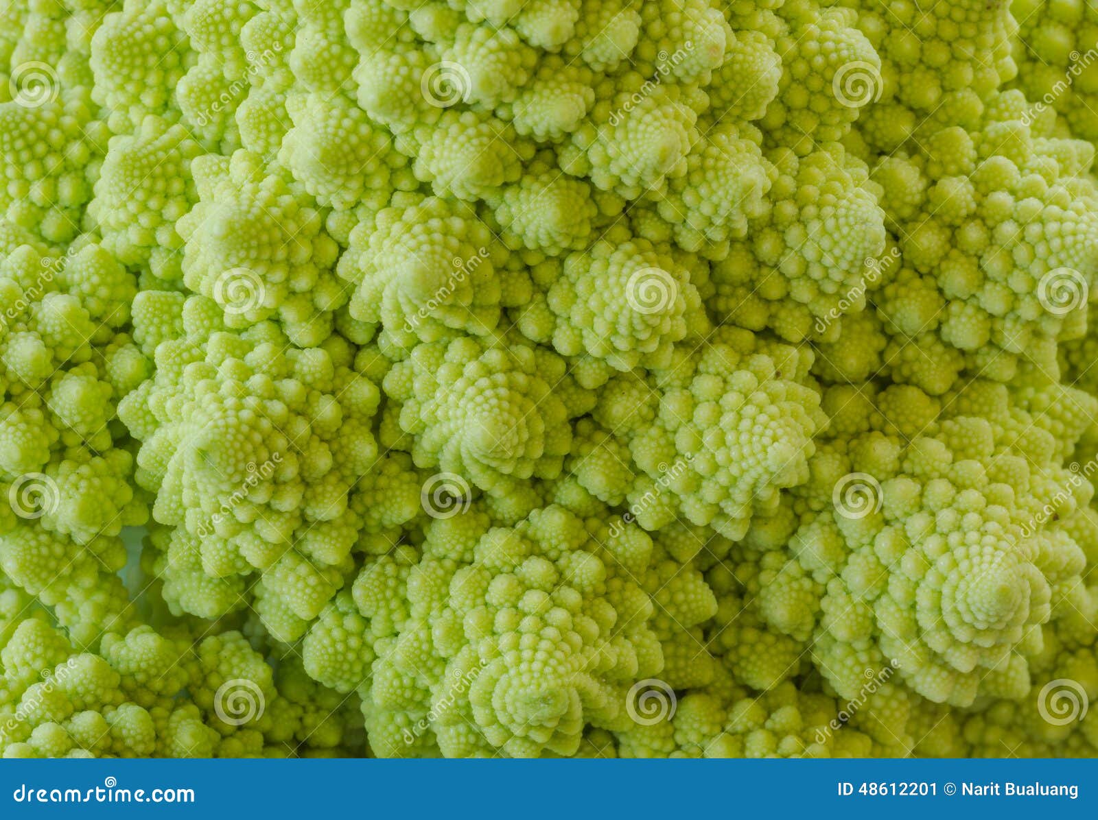 Fresh cauliflower stock image. Image of agricultural - 48612201
