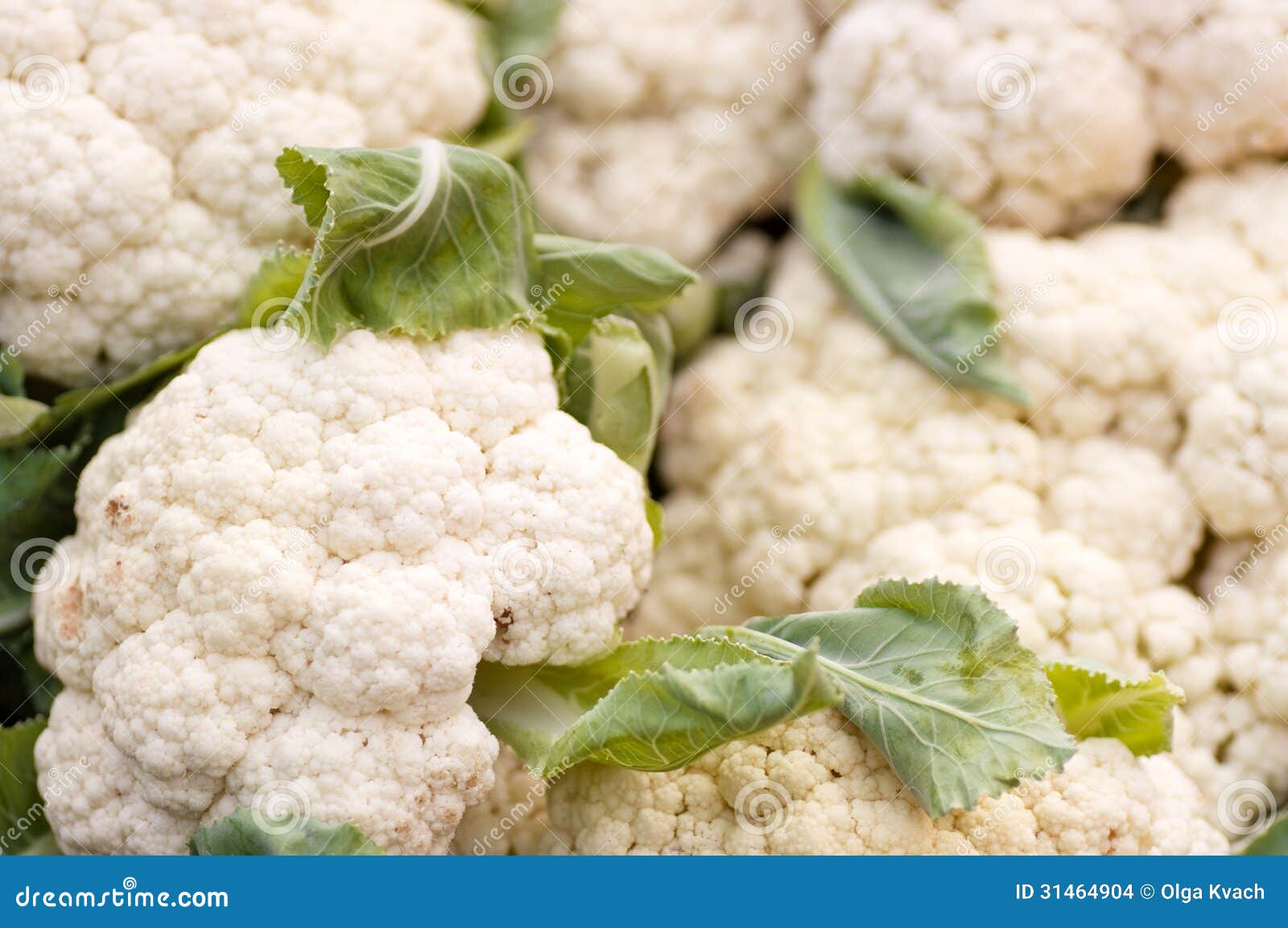 Fresh cauliflower stock photo. Image of nutrients, produce - 31464904