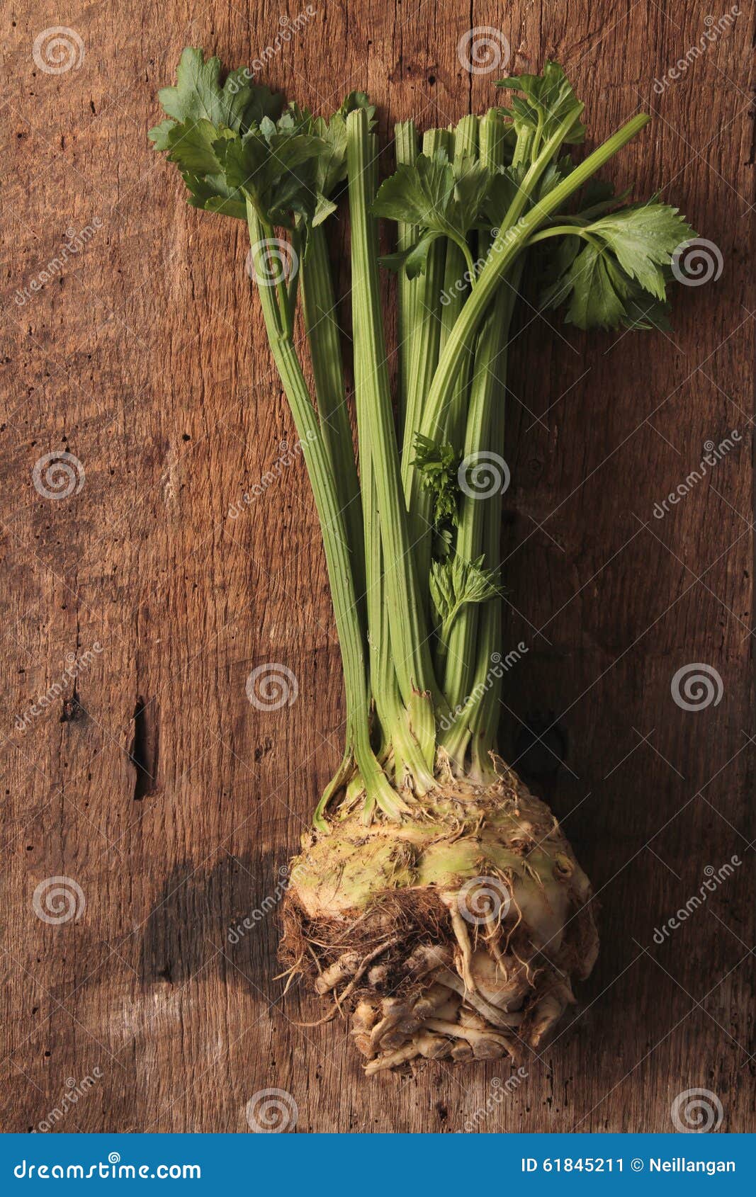 Fresh celeriac celery stock image. Image of celery, vegetable - 61845211