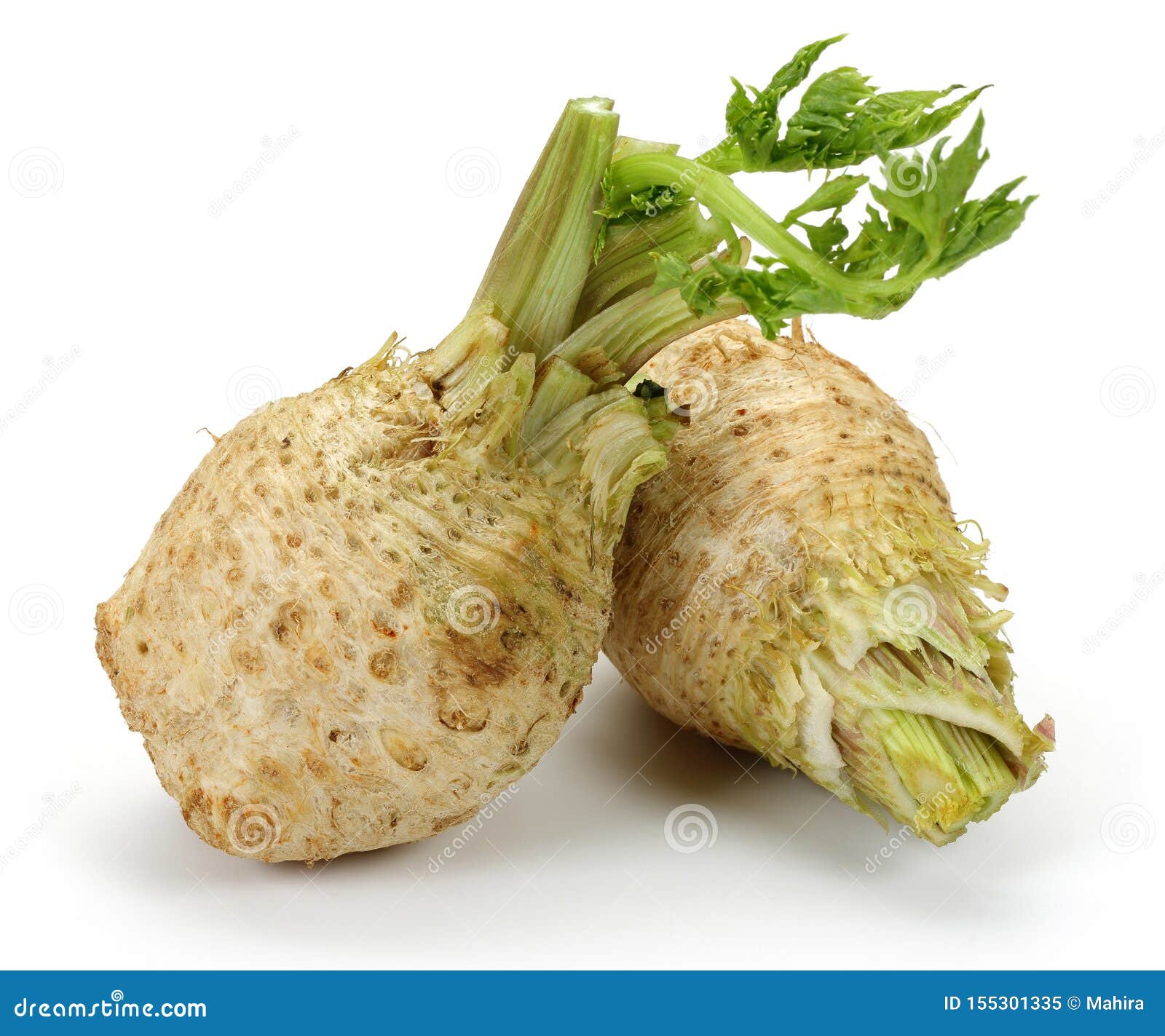 Fresh Celeriac Root with Celery Stalks Isolated Stock Image - Image of ...
