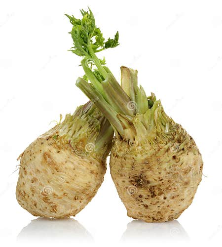 Fresh Celeriac Root with Celery Stalks Isolated Stock Photo - Image of ...
