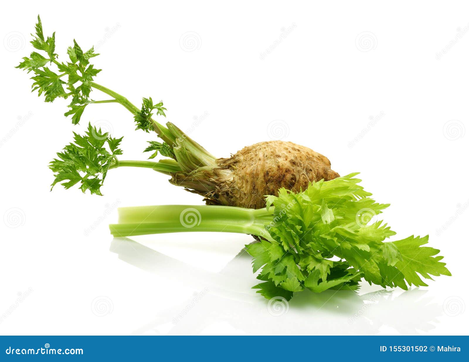 Fresh Celeriac Root with Celery Stalks Isolated Stock Photo - Image of ...