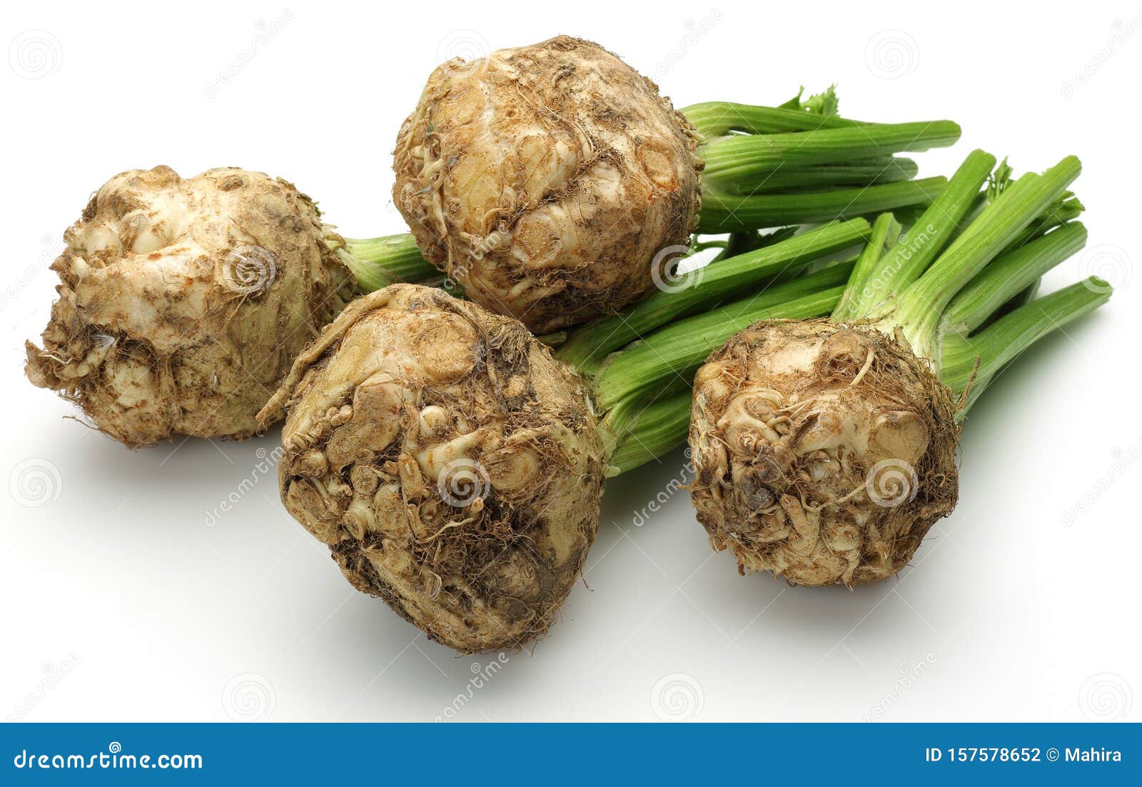 Fresh Celeriac Root with Celery Stalks Isolated Stock Photo - Image of ...