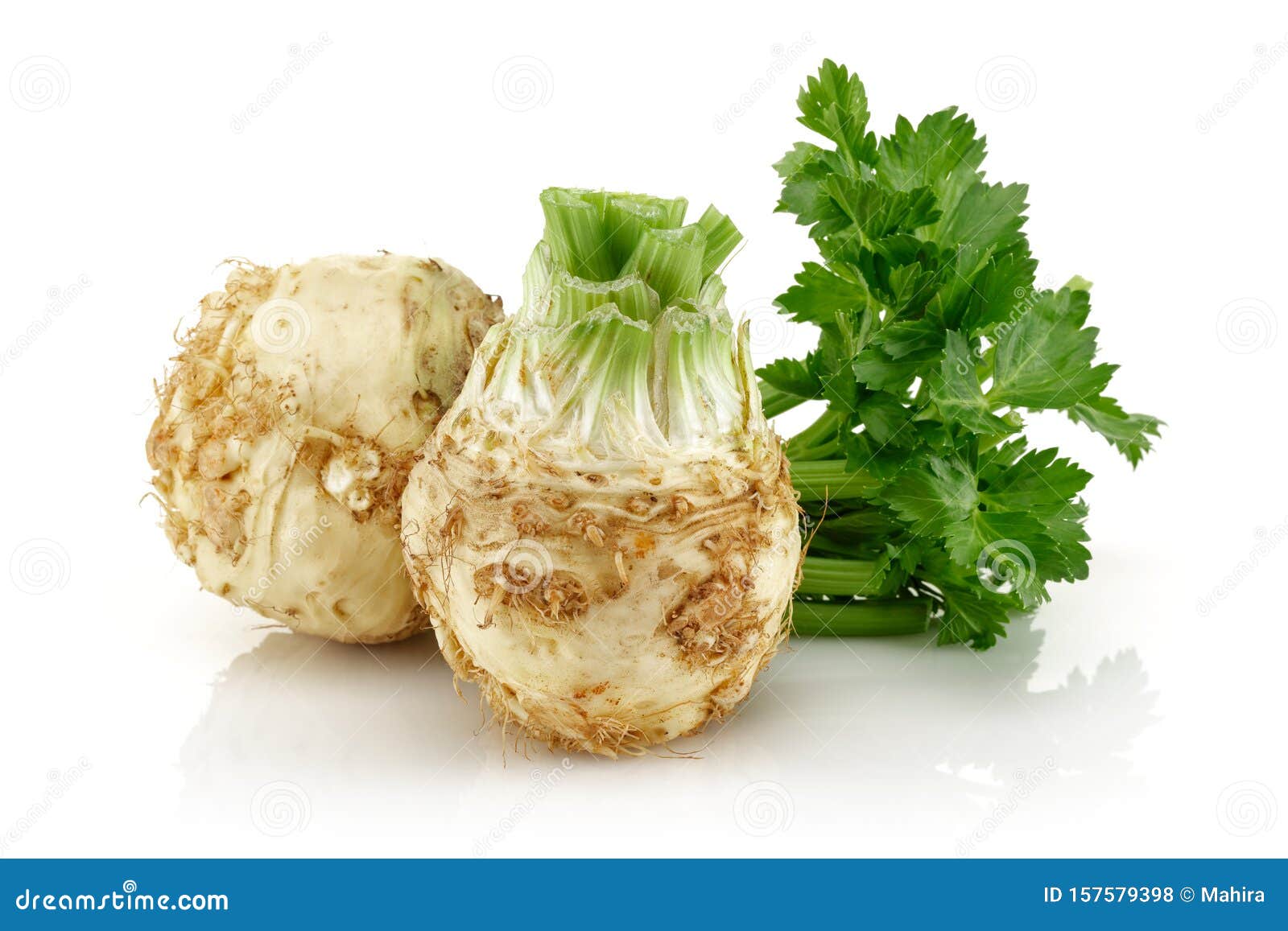 Fresh Celeriac Root with Celery Stalks Isolated Stock Photo - Image of ...