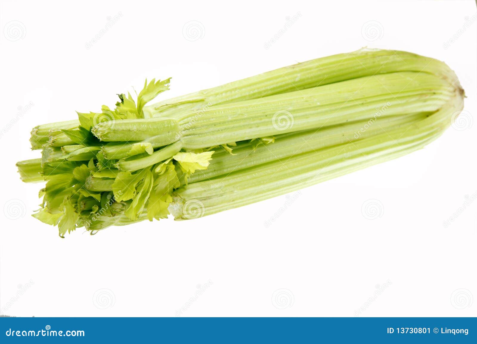 Fresh celery stock image. Image of life, cellery, celery - 13730801