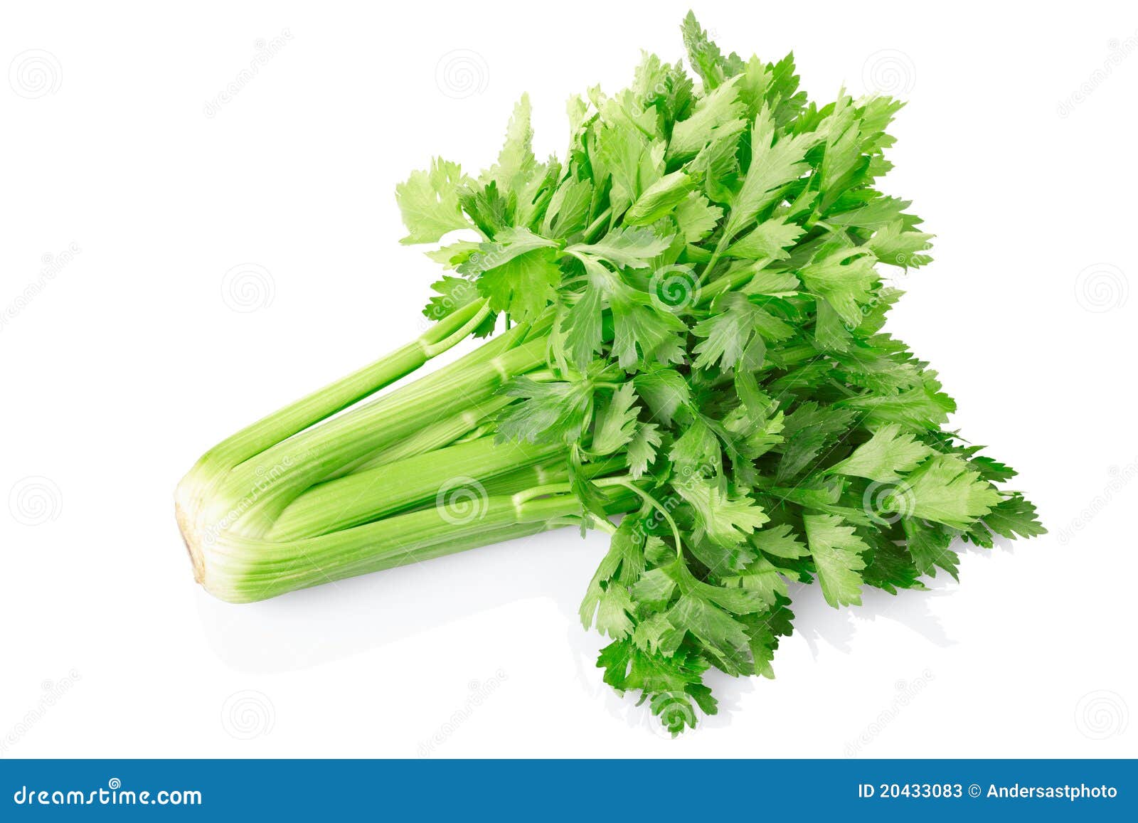 Fresh celery stock image. Image of bunch, ingredient - 20433083