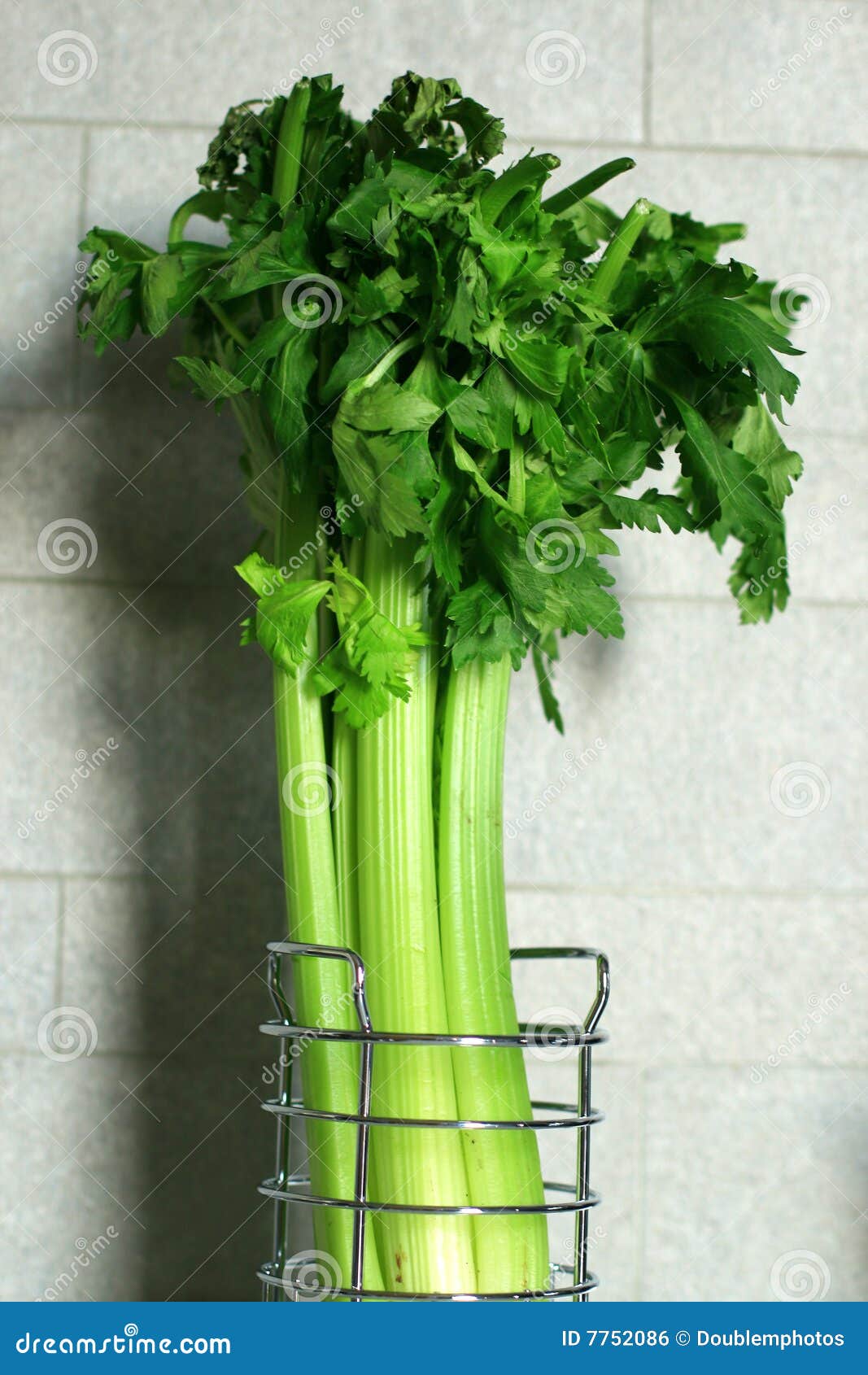 Fresh celery stock photo. Image of healthy, appealing - 7752086
