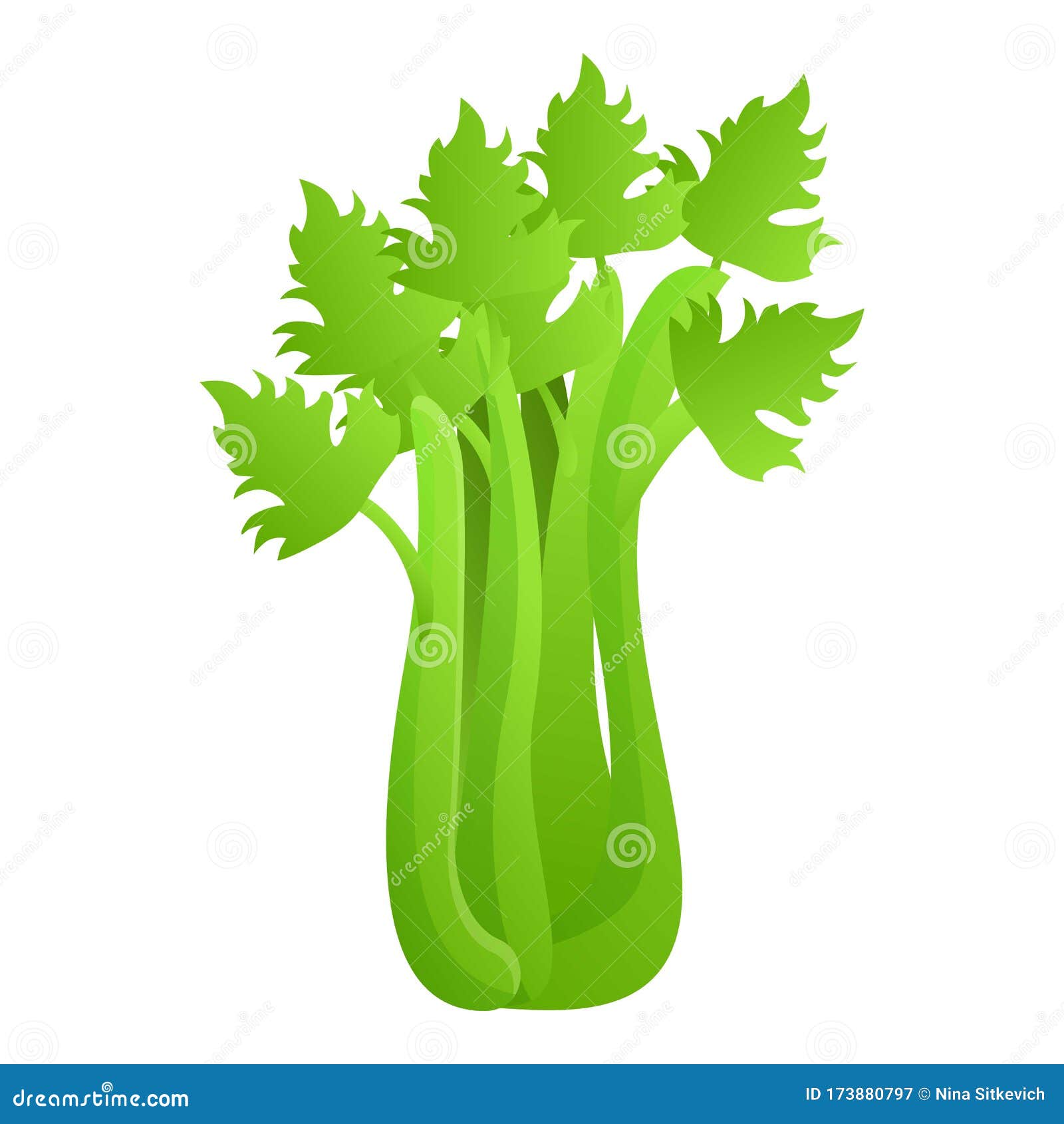 Fresh Celery Icon, Cartoon Style Stock Vector - Illustration of crunchy ... Fresh Celery Icon, Cartoon Style Stock Vector - Illustration of crunchy ...
