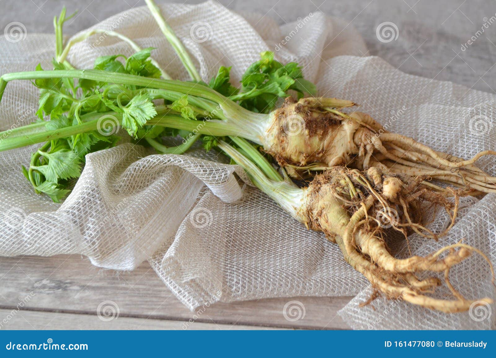 Fresh Celery Root with Leaves and Rhizome, Close Up on Rustic Table ...