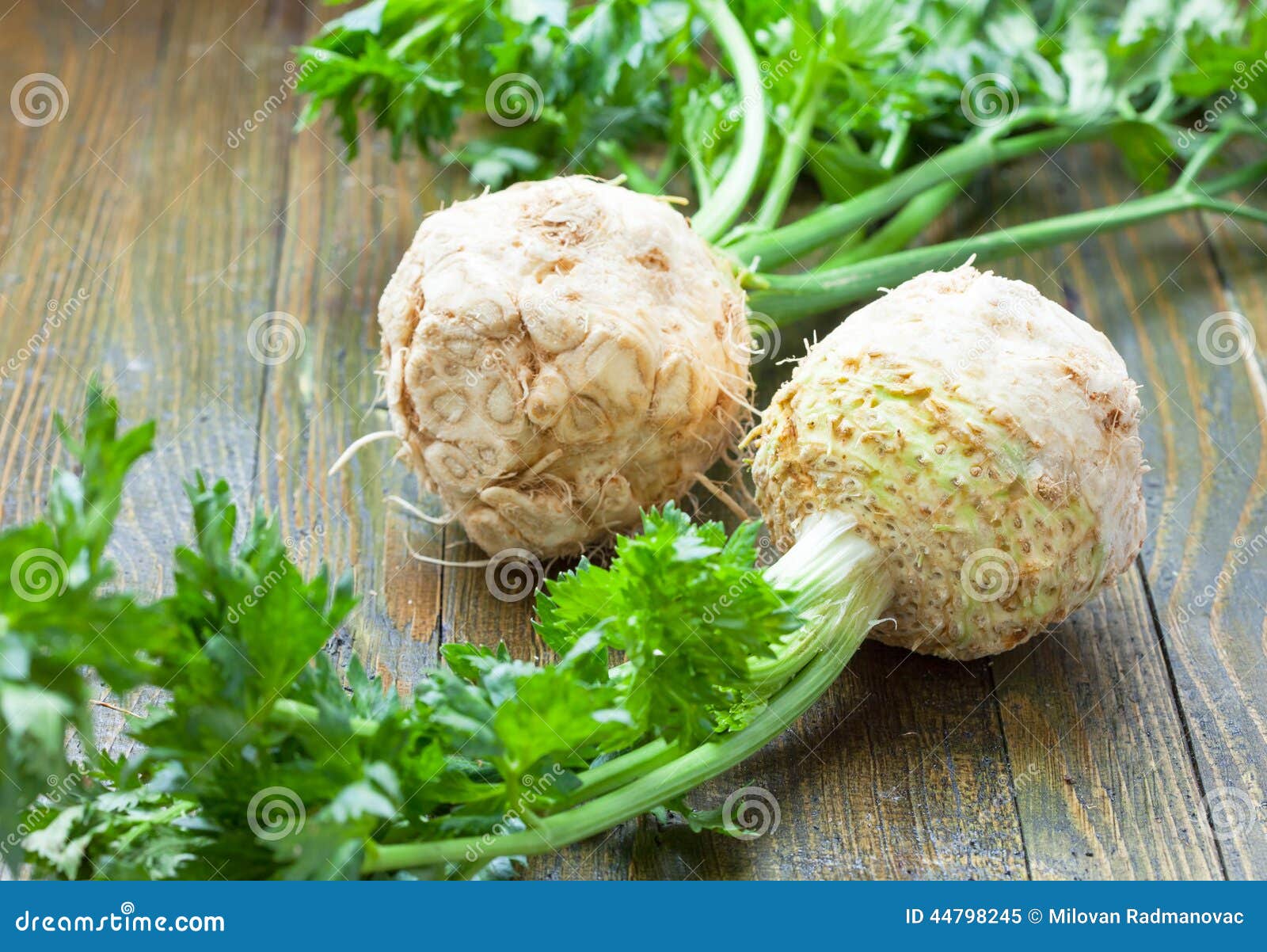Fresh celery stock image. Image of vegan, celeriac, freshness - 44798245