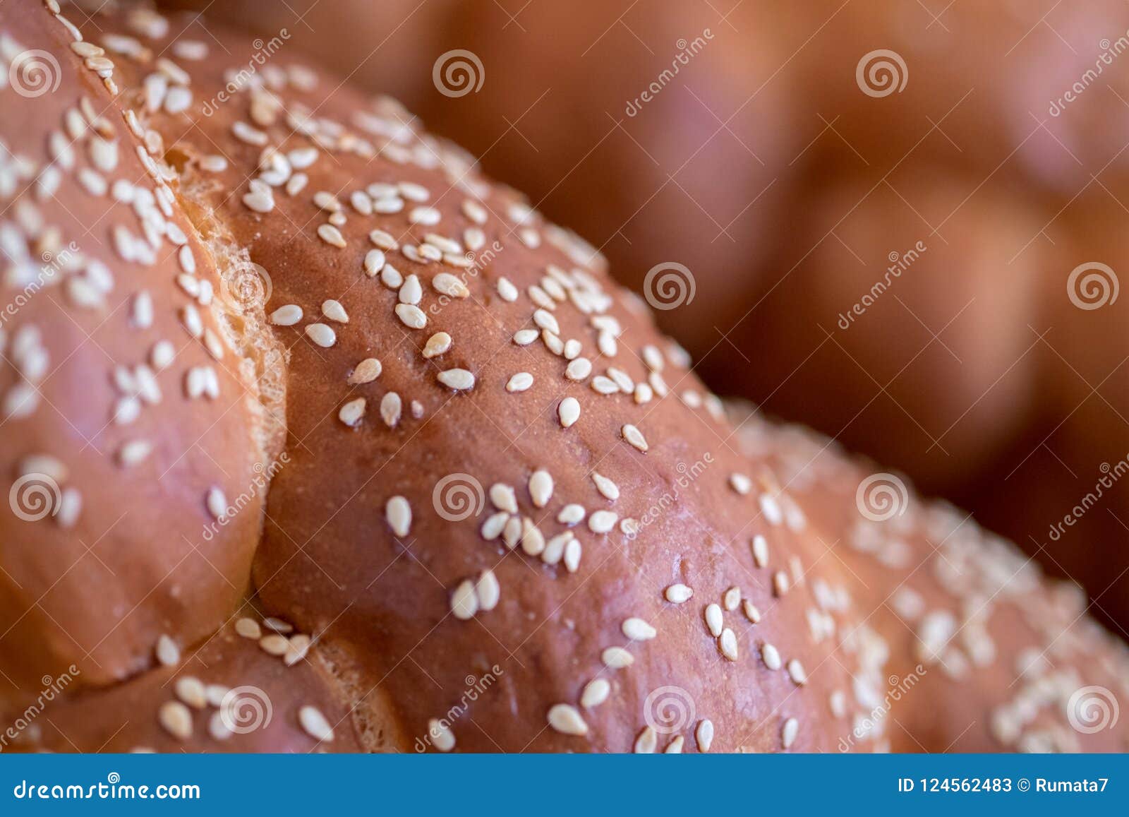 Fresh Challah with Sesame Seeds Stock Image - Image of ethnic, crust ...