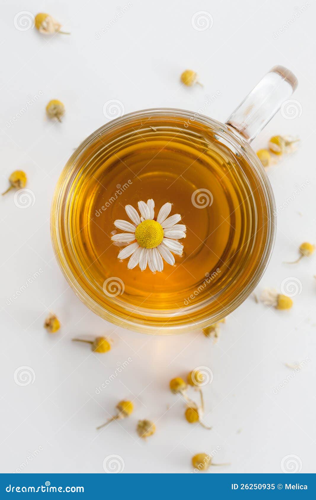 Fresh chamomile tea stock image. Image of chamomile, daisy - 26250935
