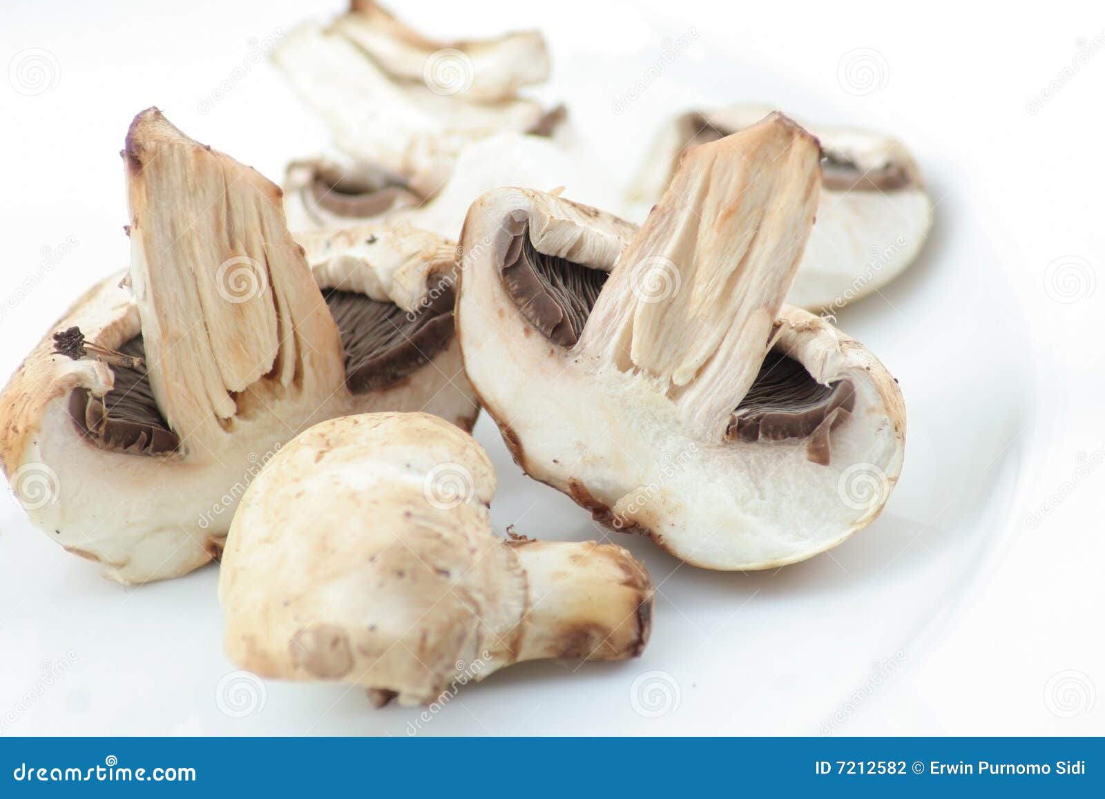 Fresh champignon mushroom stock photo. Image of recipe - 7212582