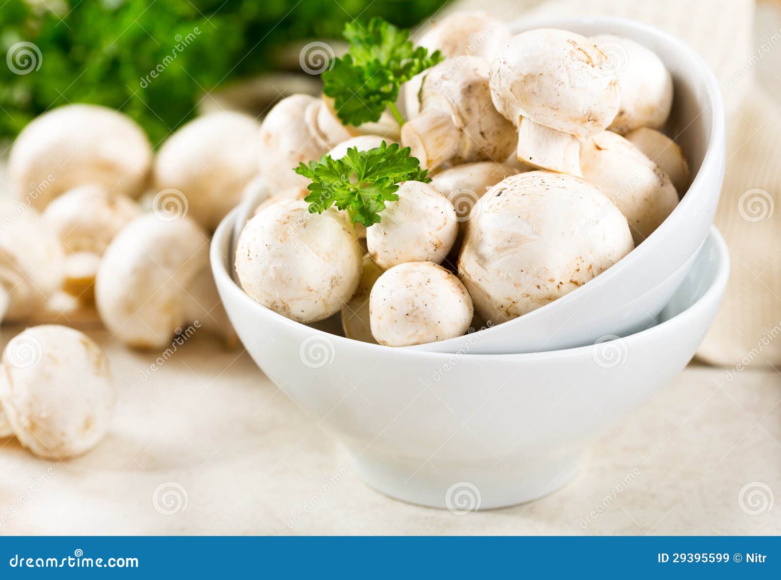 Fresh champignon mushrooms stock image. Image of still - 29395599