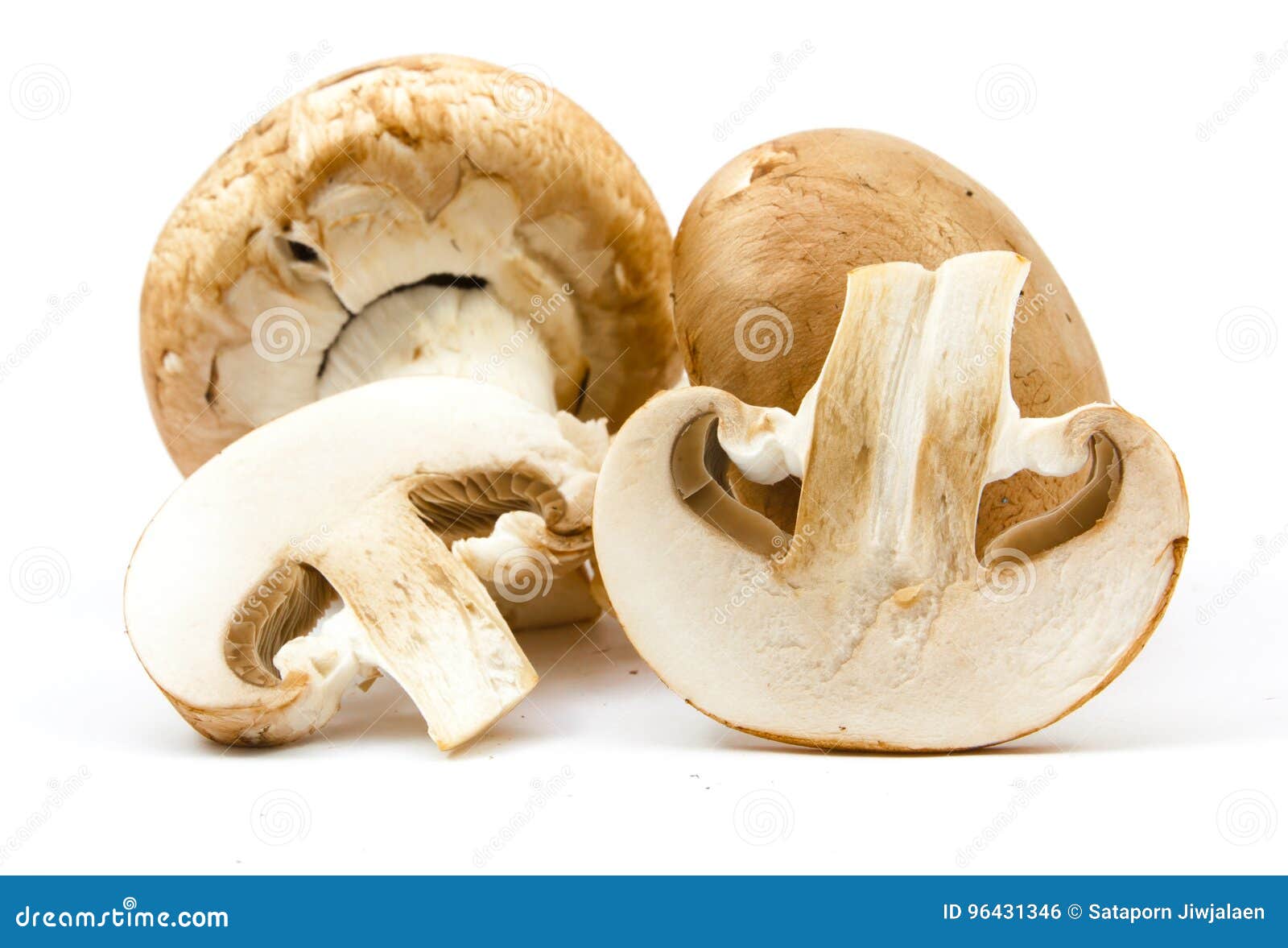 Fresh Champignons Brown Version Isolated Stock Photo - Image of organic ...