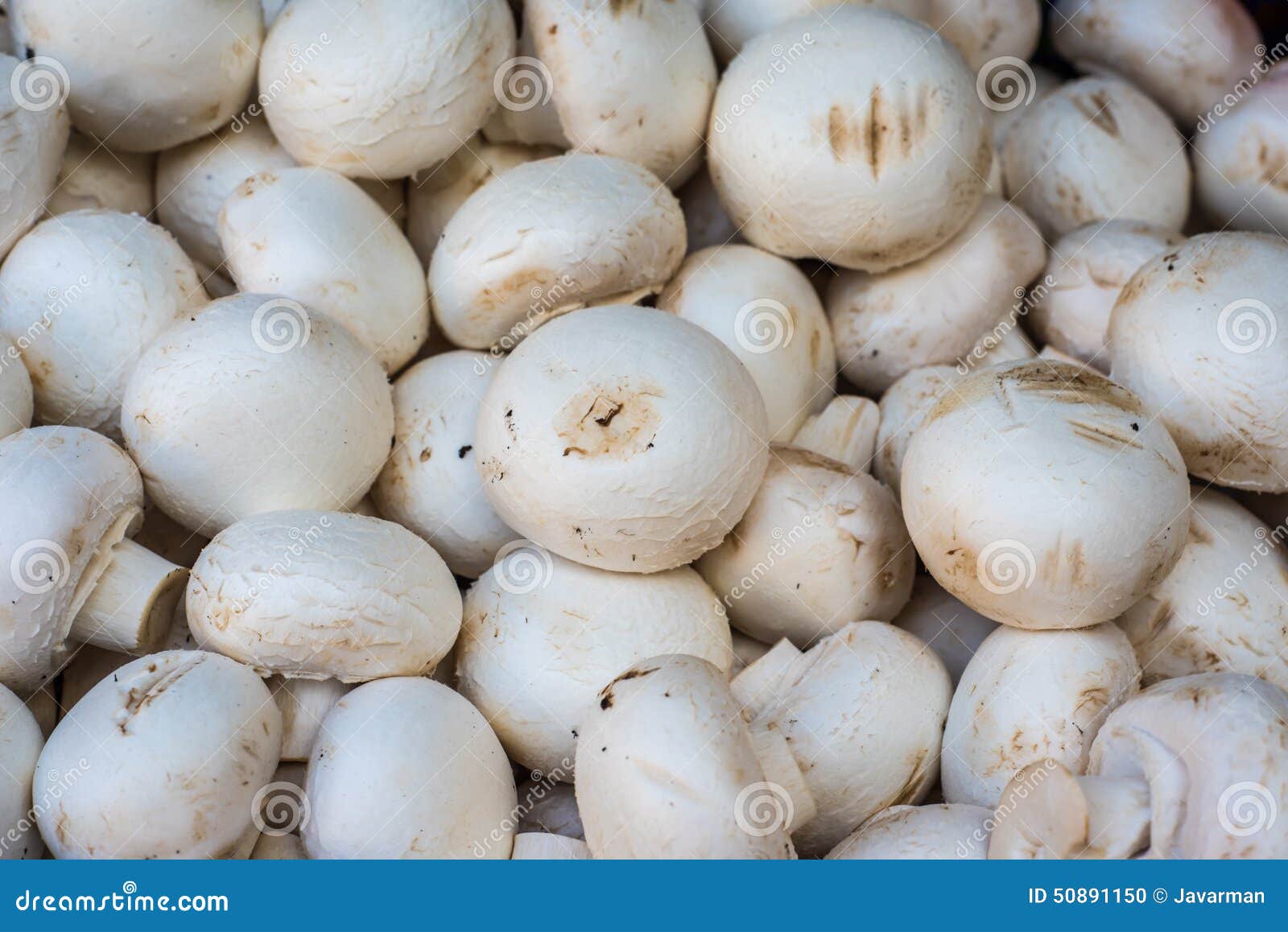 Fresh Champignons in the Market Stock Photo - Image of natural ...