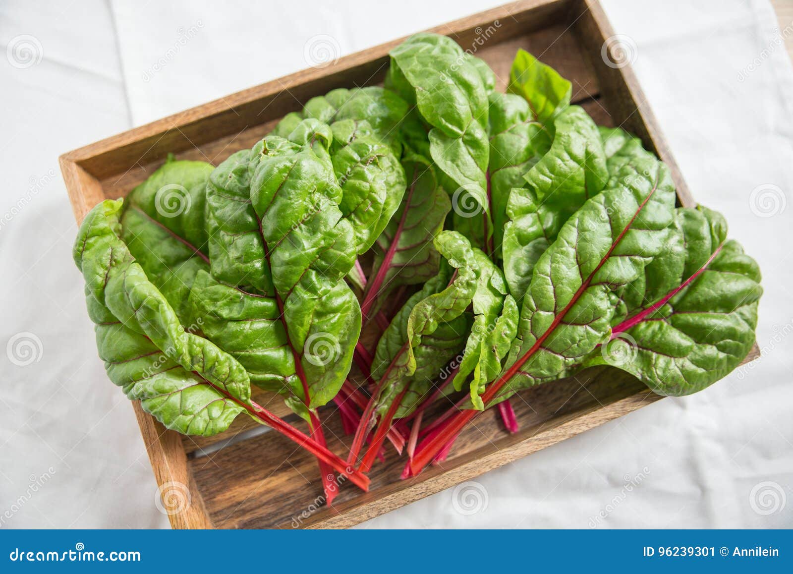 Fresh Chard Mangold Salad Leaves Stock Image - Image of leafy ...
