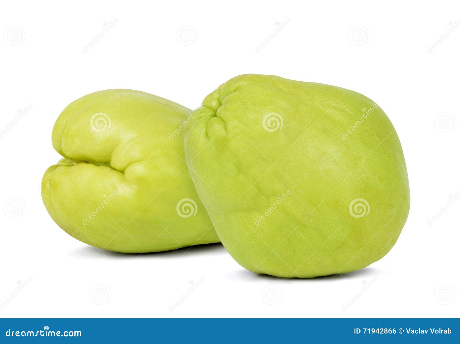 Fresh Chayote Vegetable Sliced -Sechium Edulis Royalty-Free Stock Photo ...