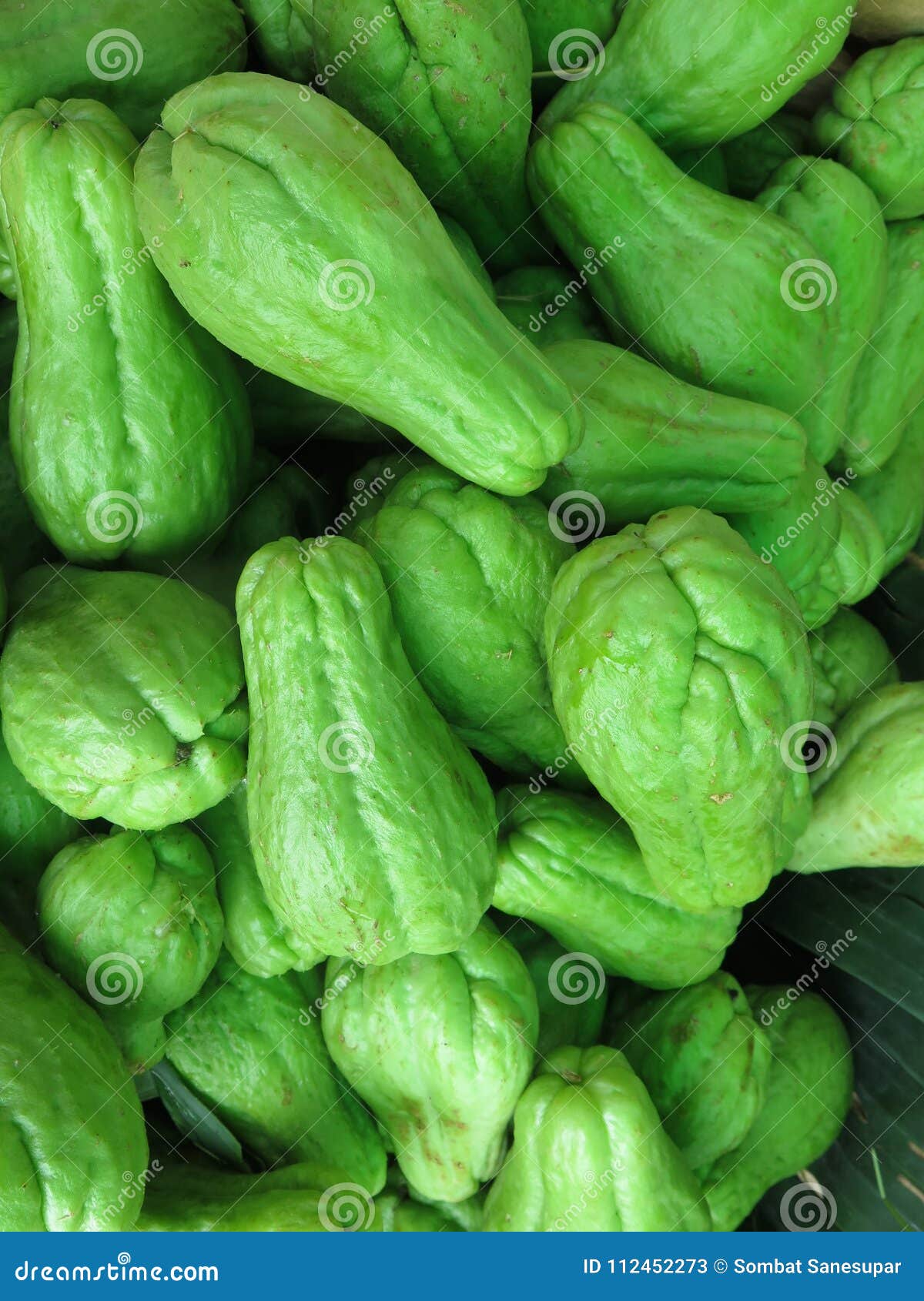 Fresh Chayote stock image. Image of garden, sechium - 112452273