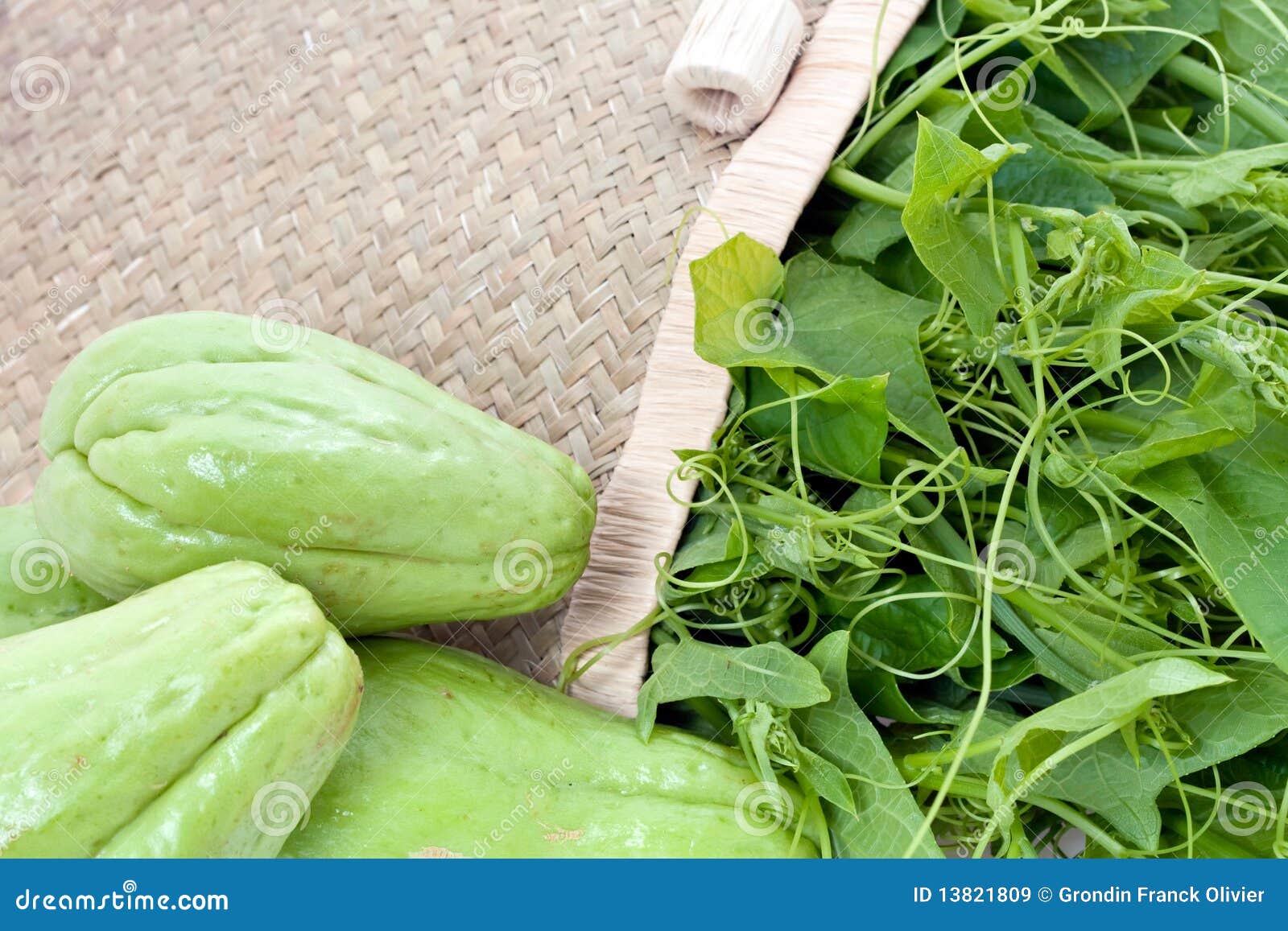 Fresh Chayote and vines stock image. Image of ripe, closeup - 13821809