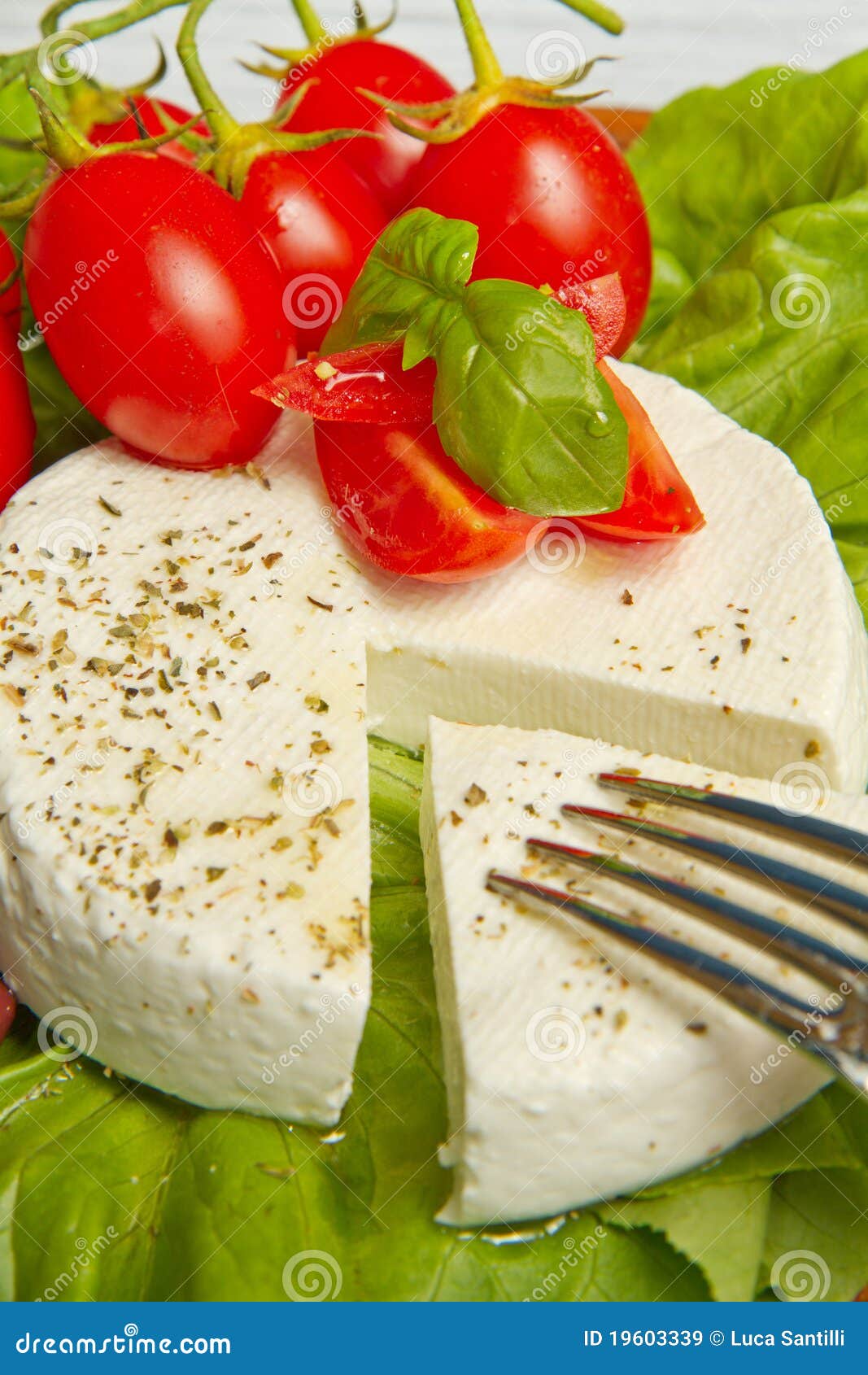 Fresh cheese stock image. Image of close, light, greek - 19603339