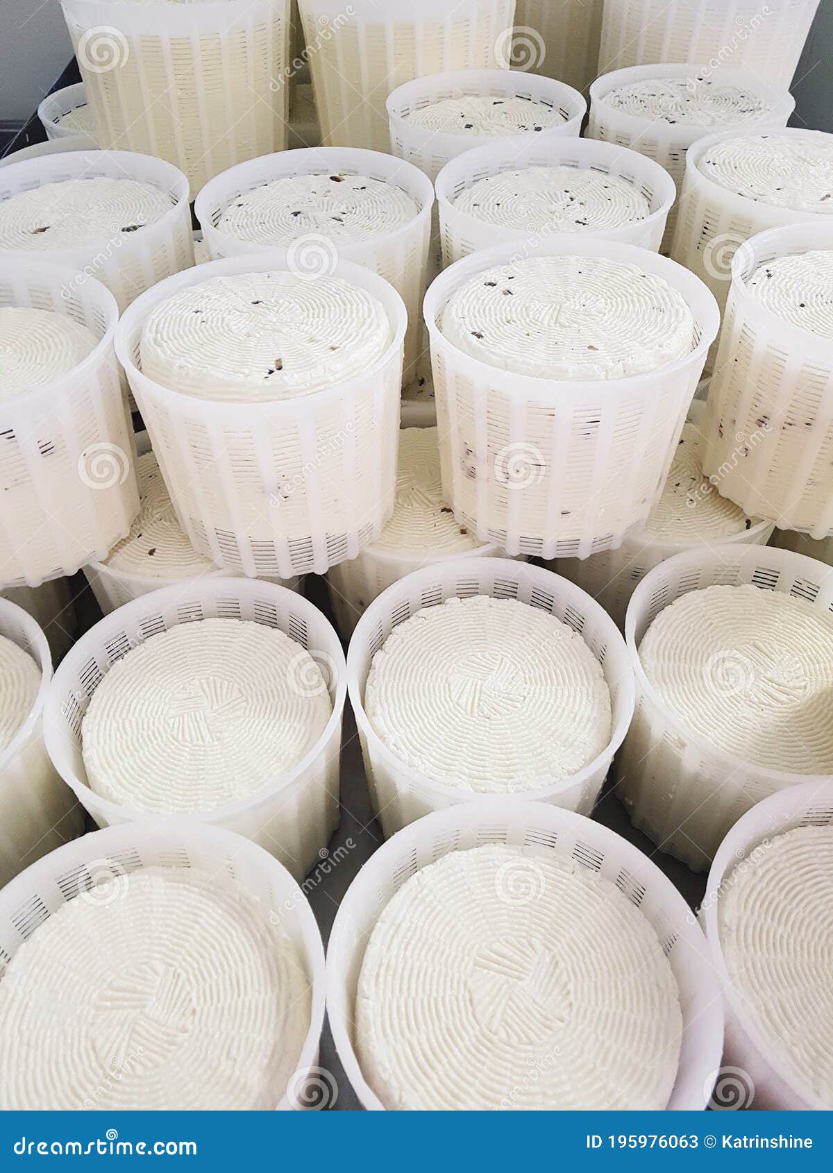 Fresh Cheese in Plastic Molds on Cheese Factory in Italy Stock Image ...