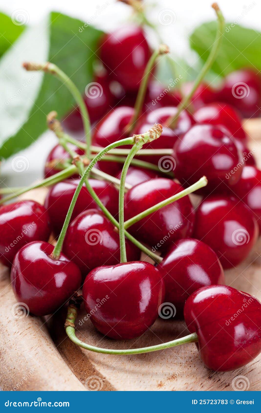 Fresh cherries stock image. Image of cherries, ripe, stems - 25723783