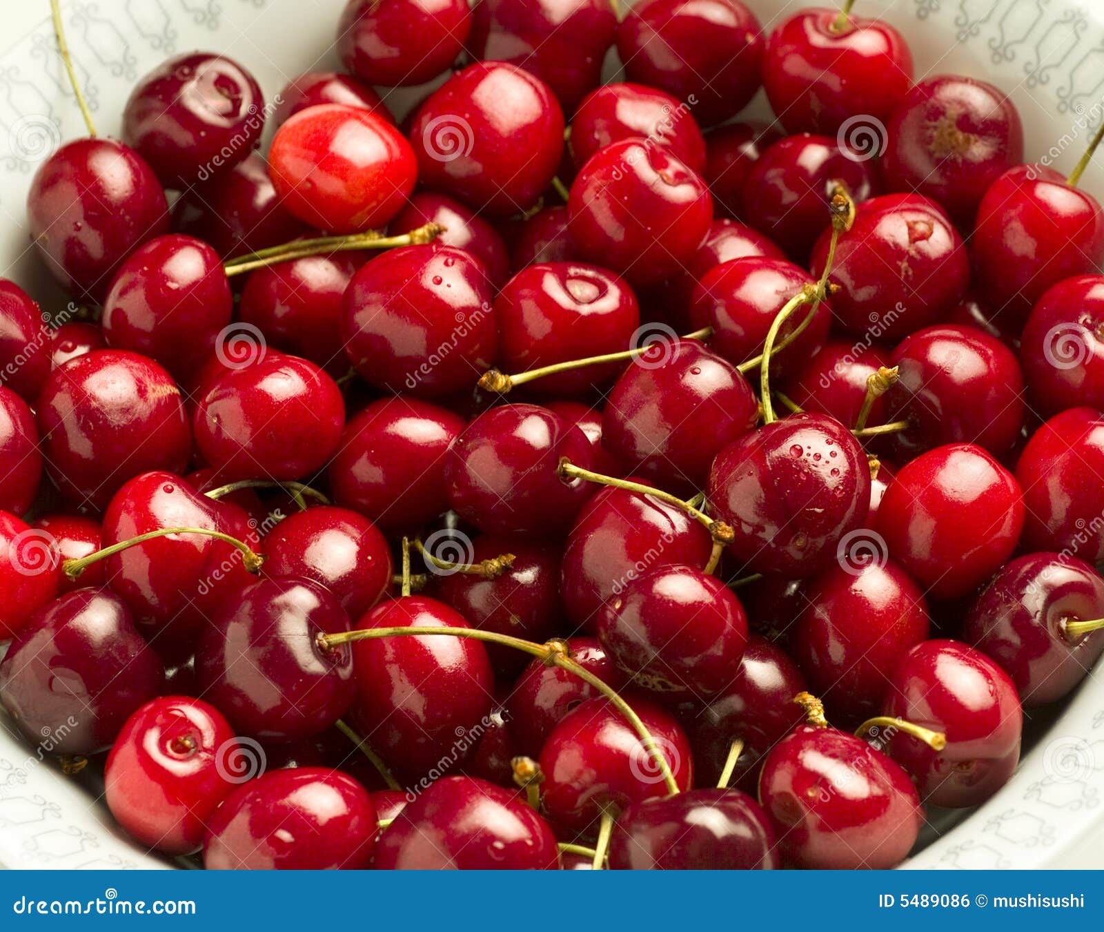 Fresh cherries stock photo. Image of fresh, fruits, diet - 5489086